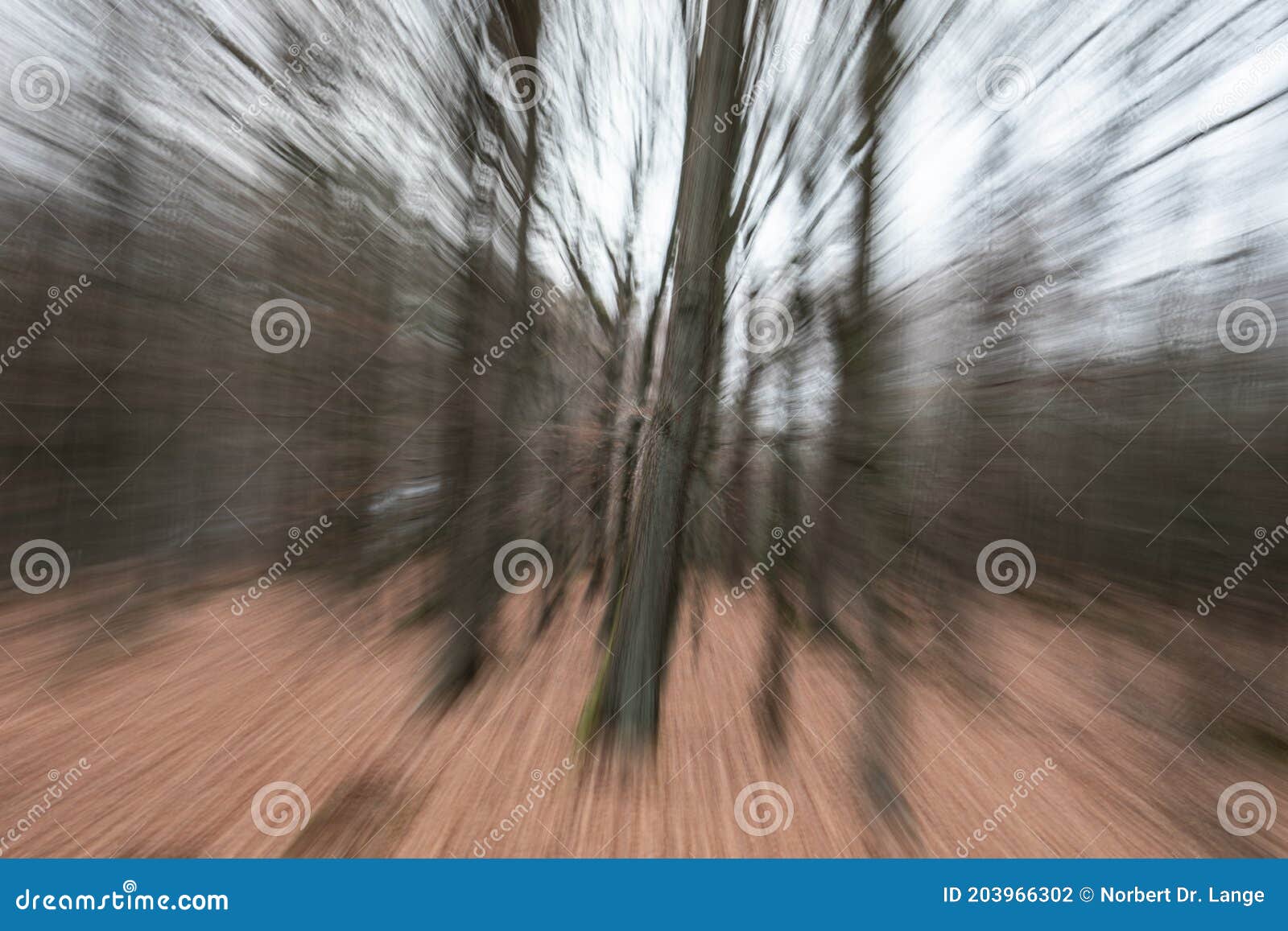 Dynamic Forest in Psychedelic View Stock Photo - Image of shine ...