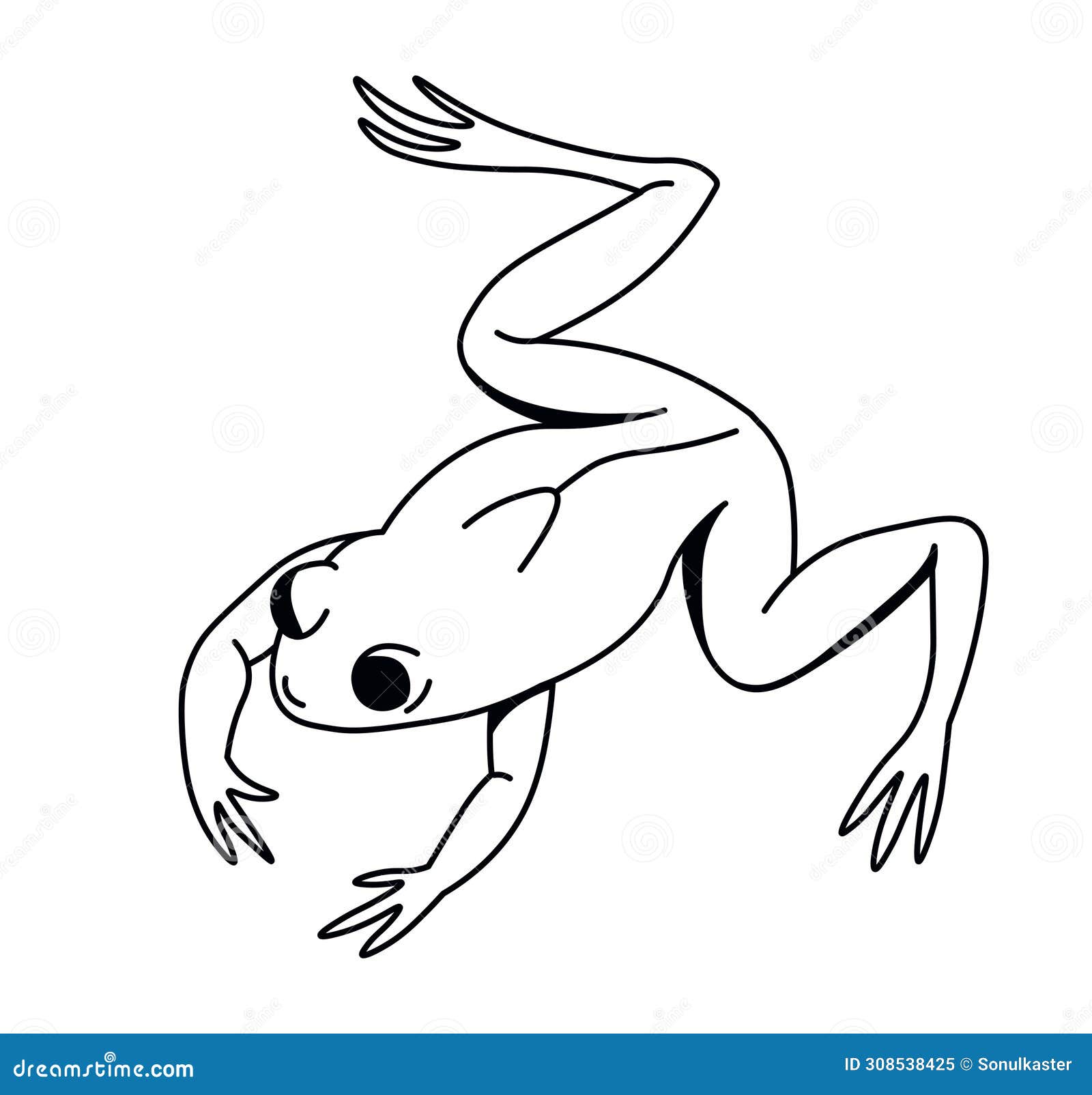 Dynamic Frog Leap Vector Illustration Stock Vector - Illustration of ...