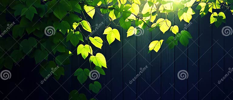 Dynamic Green Leaf Wall with a Diamond Texture, Providing Generous ...