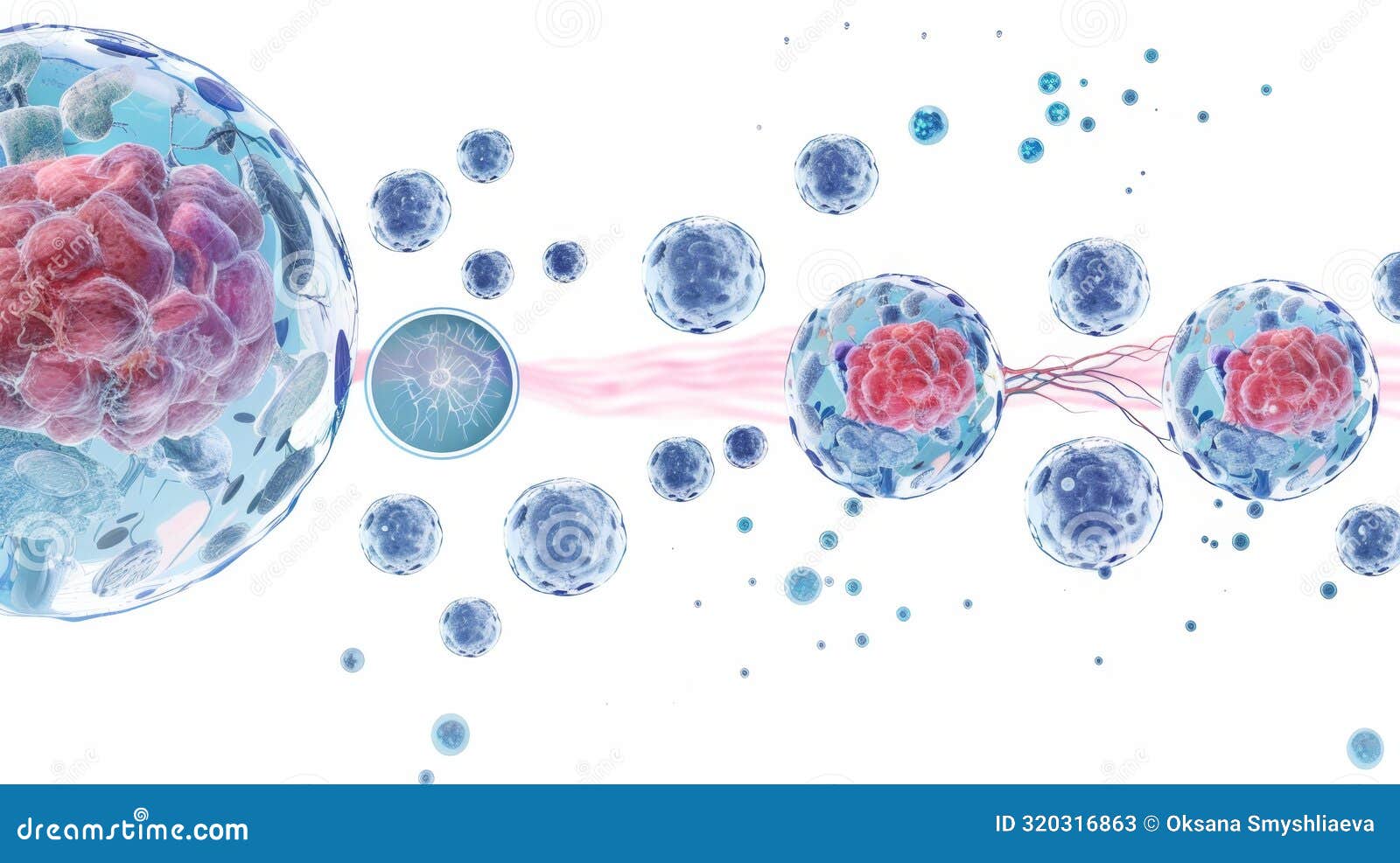 CAR T Cell Therapy. Peripheral Blood. Royalty-Free Stock Photography ...