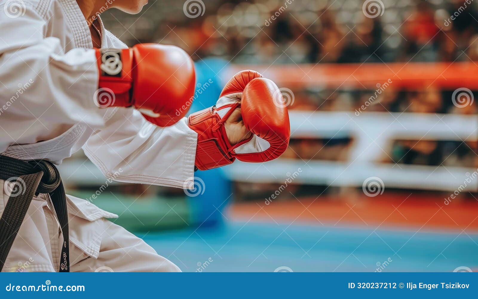 Dynamic Karate Performance Showcasing Form And Technique, Embodying ...
