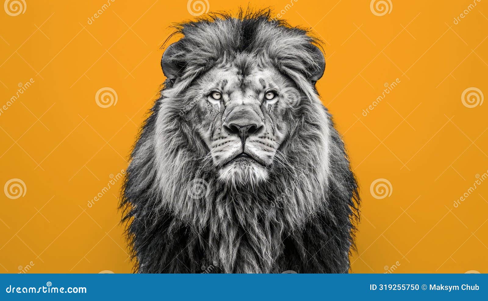 Dynamic Lion Head Turn in Minimalist Style with Dramatic Lighting on ...