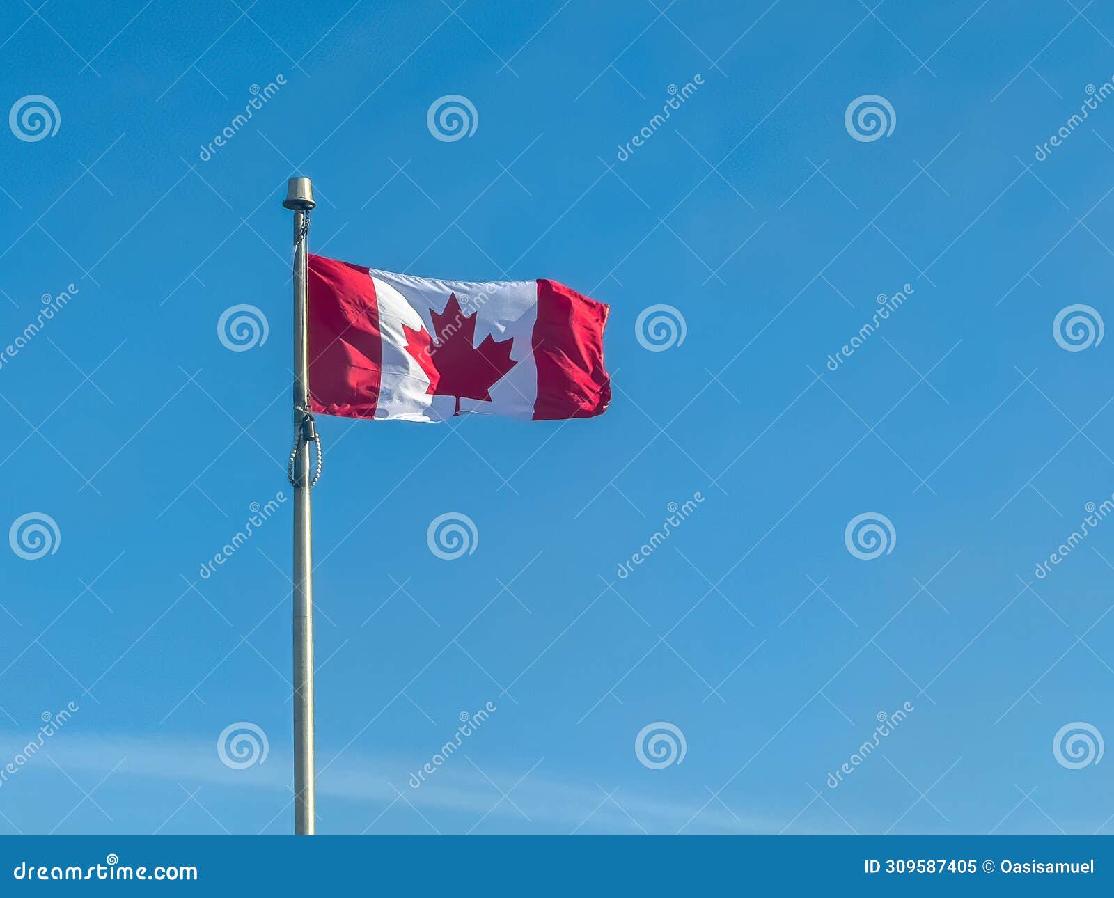 A Dynamic Movement of a Waving Canadian Flag, Captured in a Still Image ...