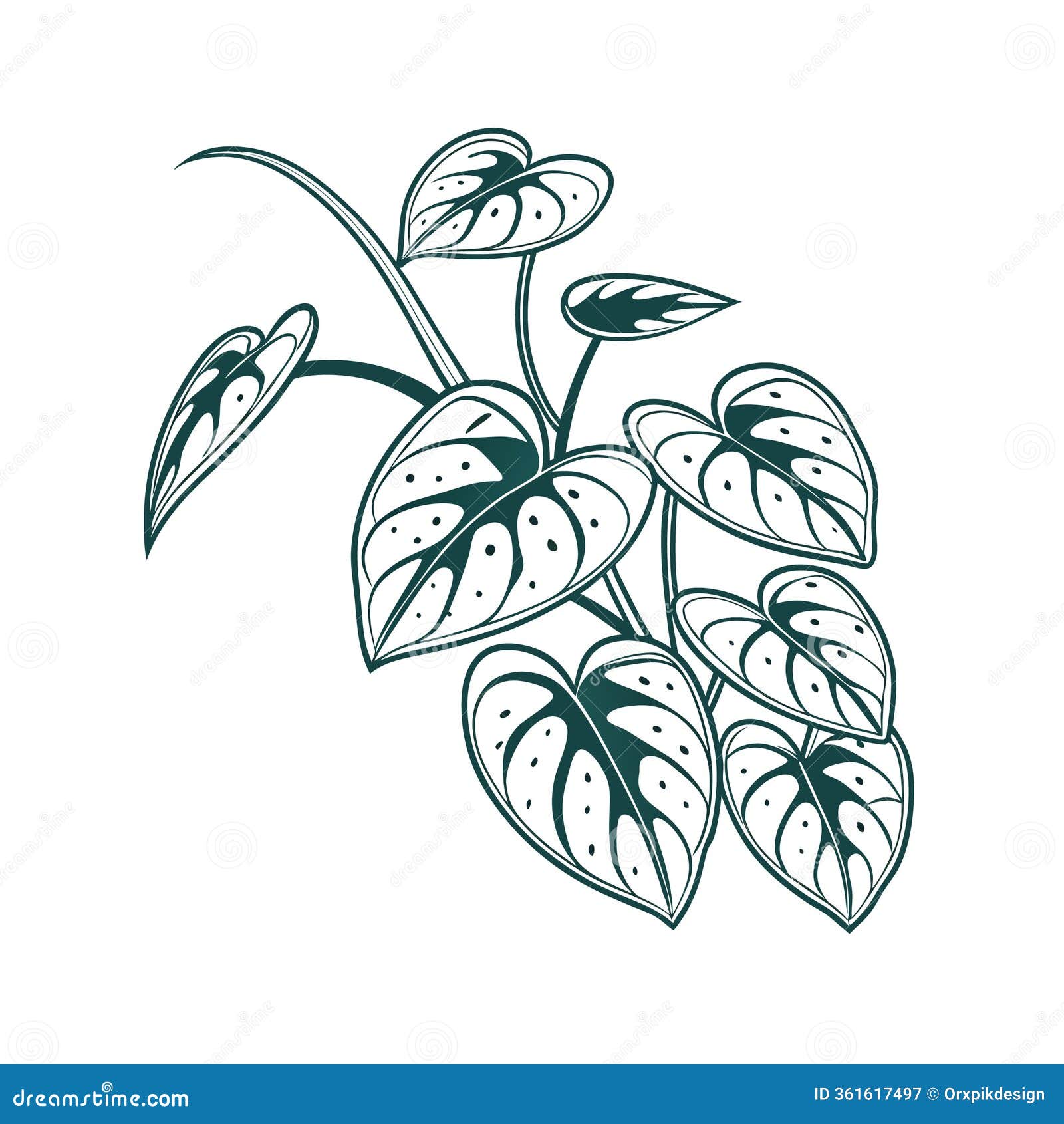 Dynamic Scindapsus Pictus Houseplant Artwork Royalty-Free Stock ...