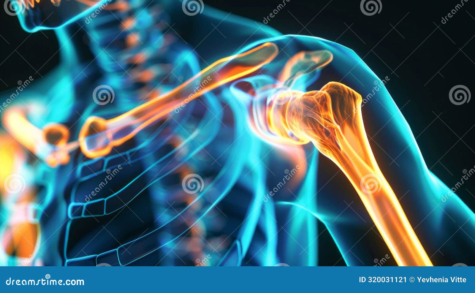 Dynamic Visualization of Shoulder Anatomy with Radiant Energy Fields ...