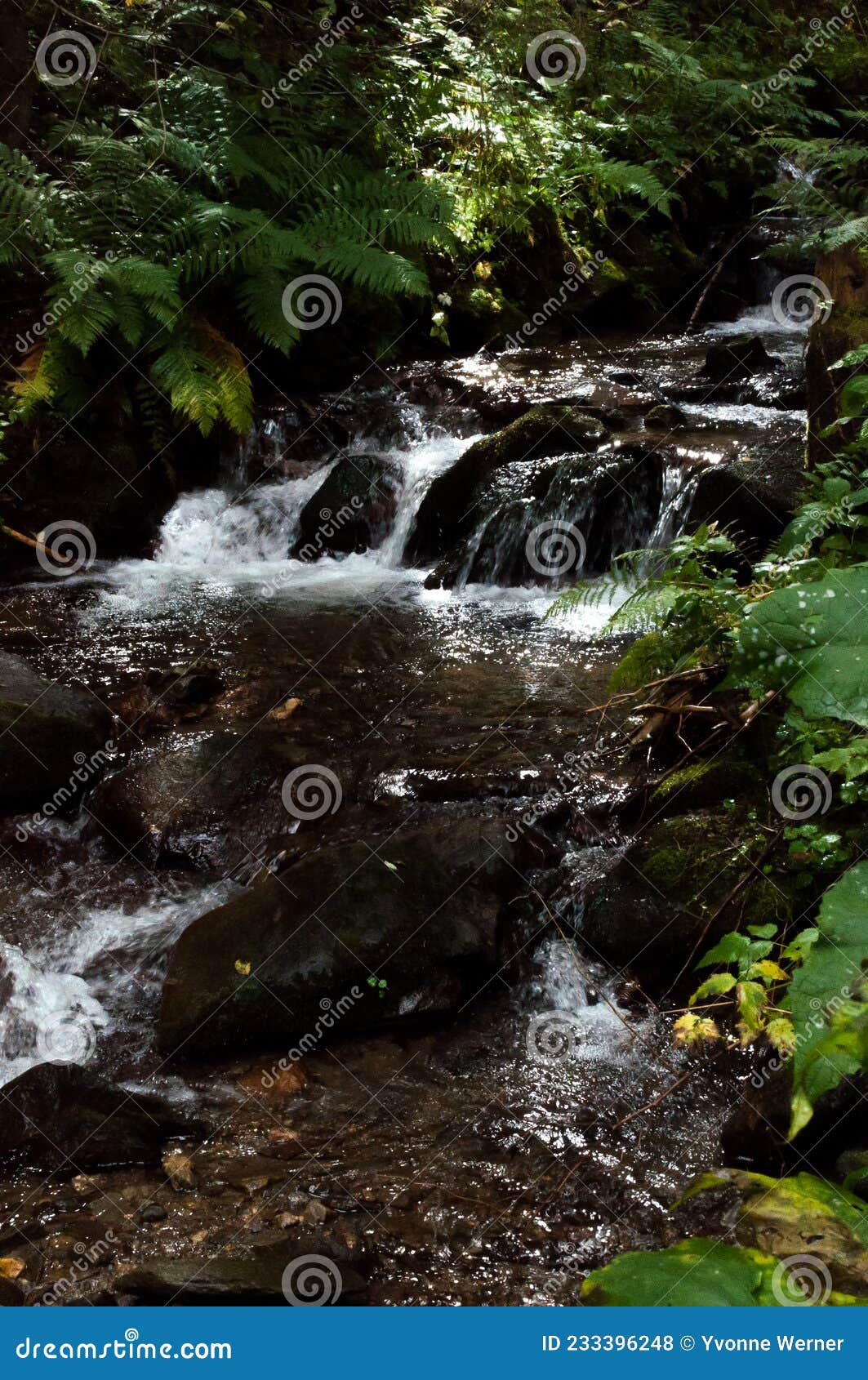 Dynamic Waterfall in Austria Stock Photo - Image of cascading, forest ...