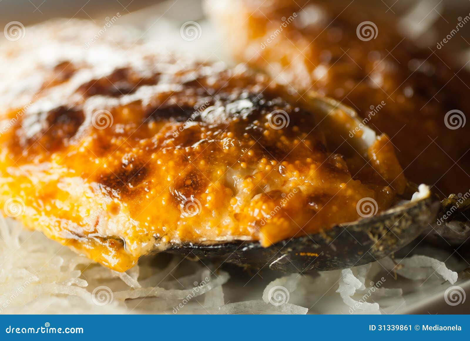 Dynamite Japanese Dish on a Shell Stock Image - Image of meal, lunch ...