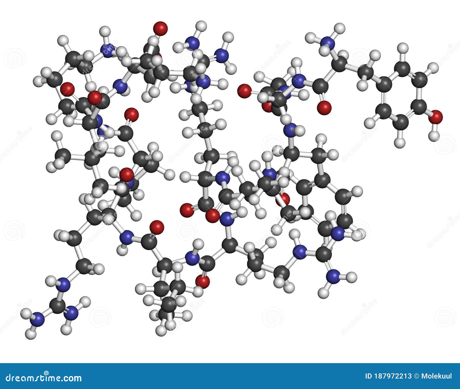 Dynorphin a Endogenous Opioid Peptide Molecule. 3D Rendering. Atoms are ...
