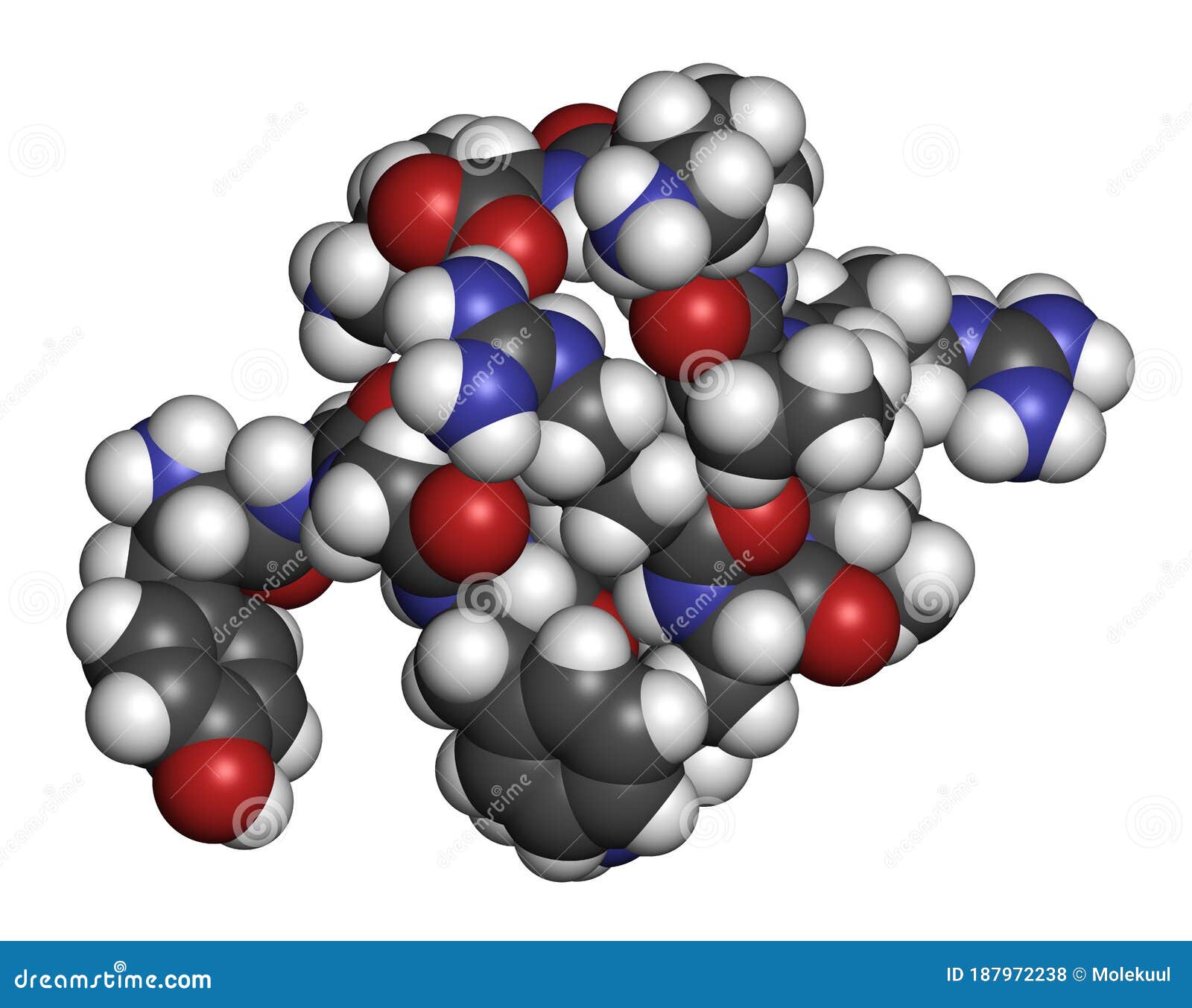 Dynorphin a Endogenous Opioid Peptide Molecule. 3D Rendering. Atoms are ...