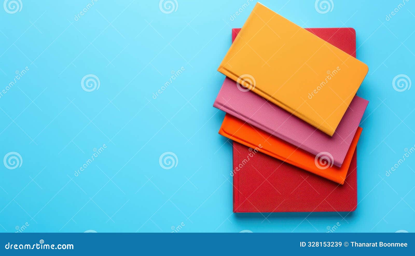 Dyslexia Book with Reading Tools for People with Learning Differences ...