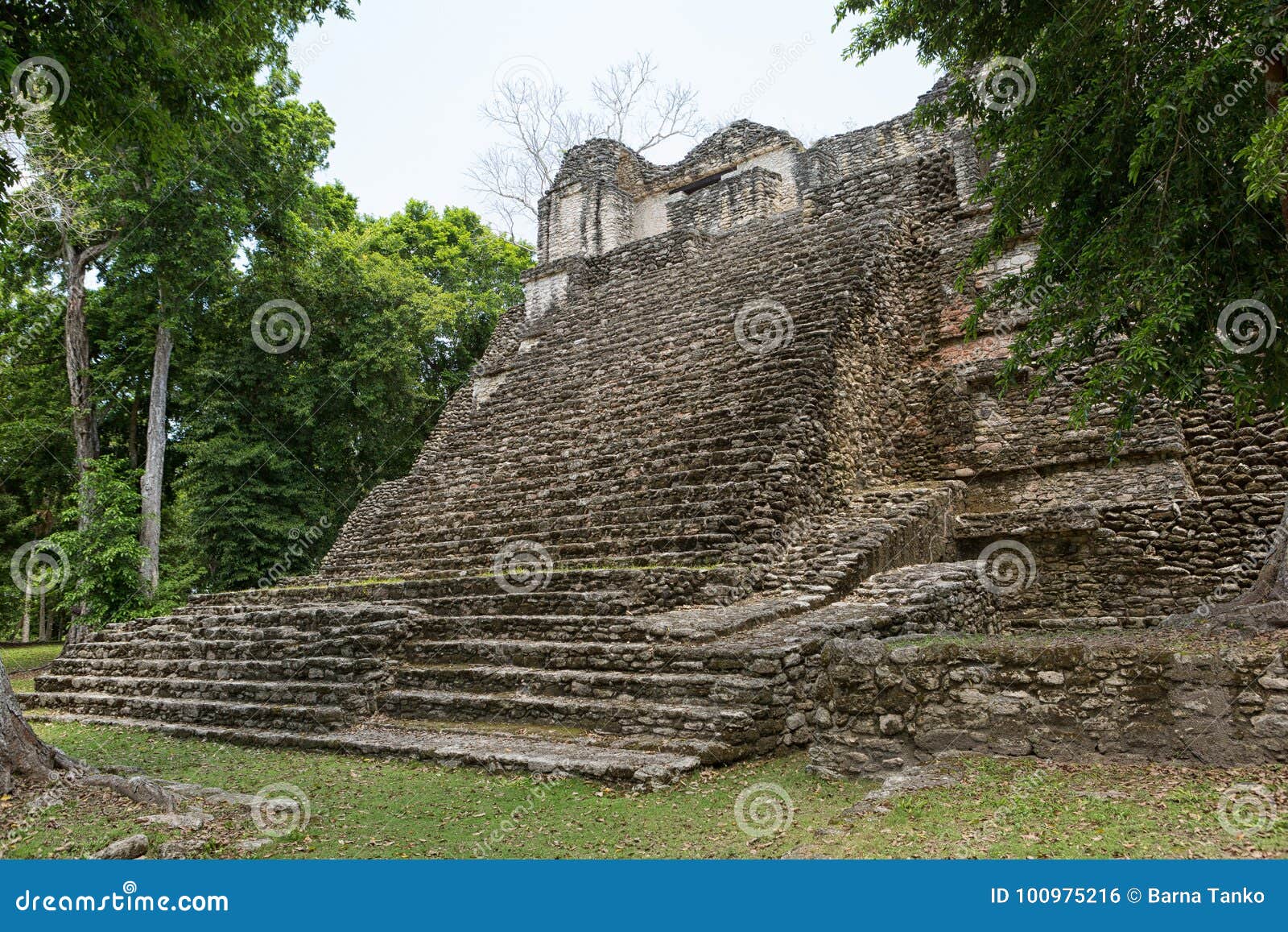 Dzibanche Mexico Archeological Site Stock Photo - Image of chetumal ...