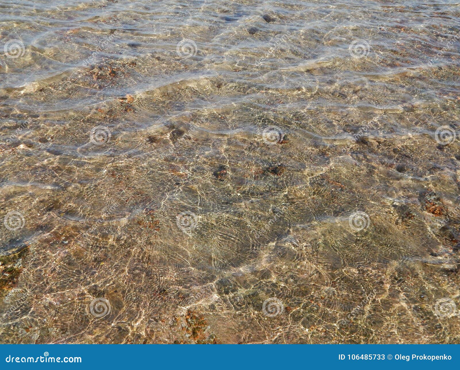 Texture of Sea Water in the Red Sea Stock Afbeelding - Image of diepte ...
