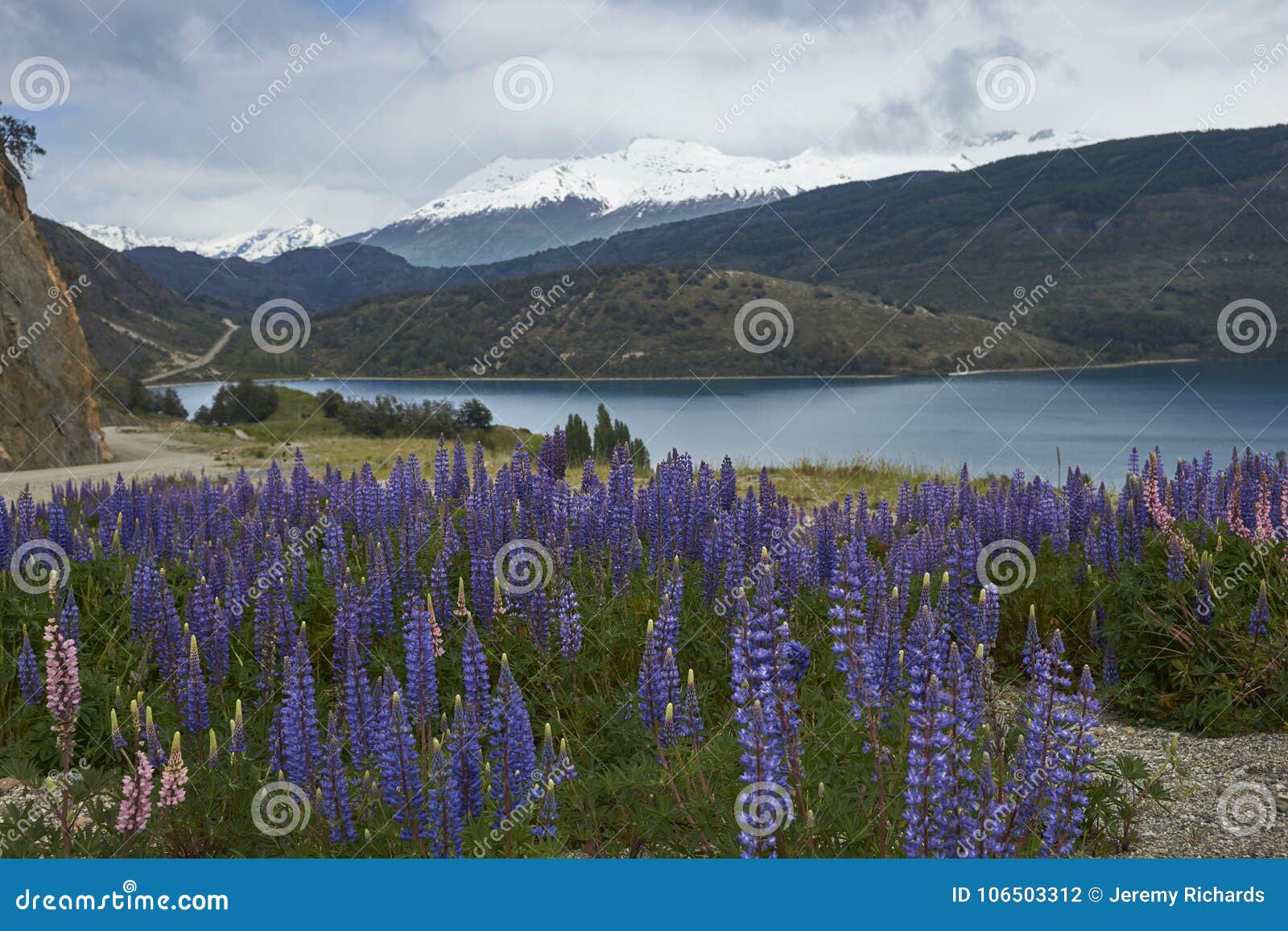 Spring in Northern Patagonia, Chile. Photo stock - Image of pierre ...