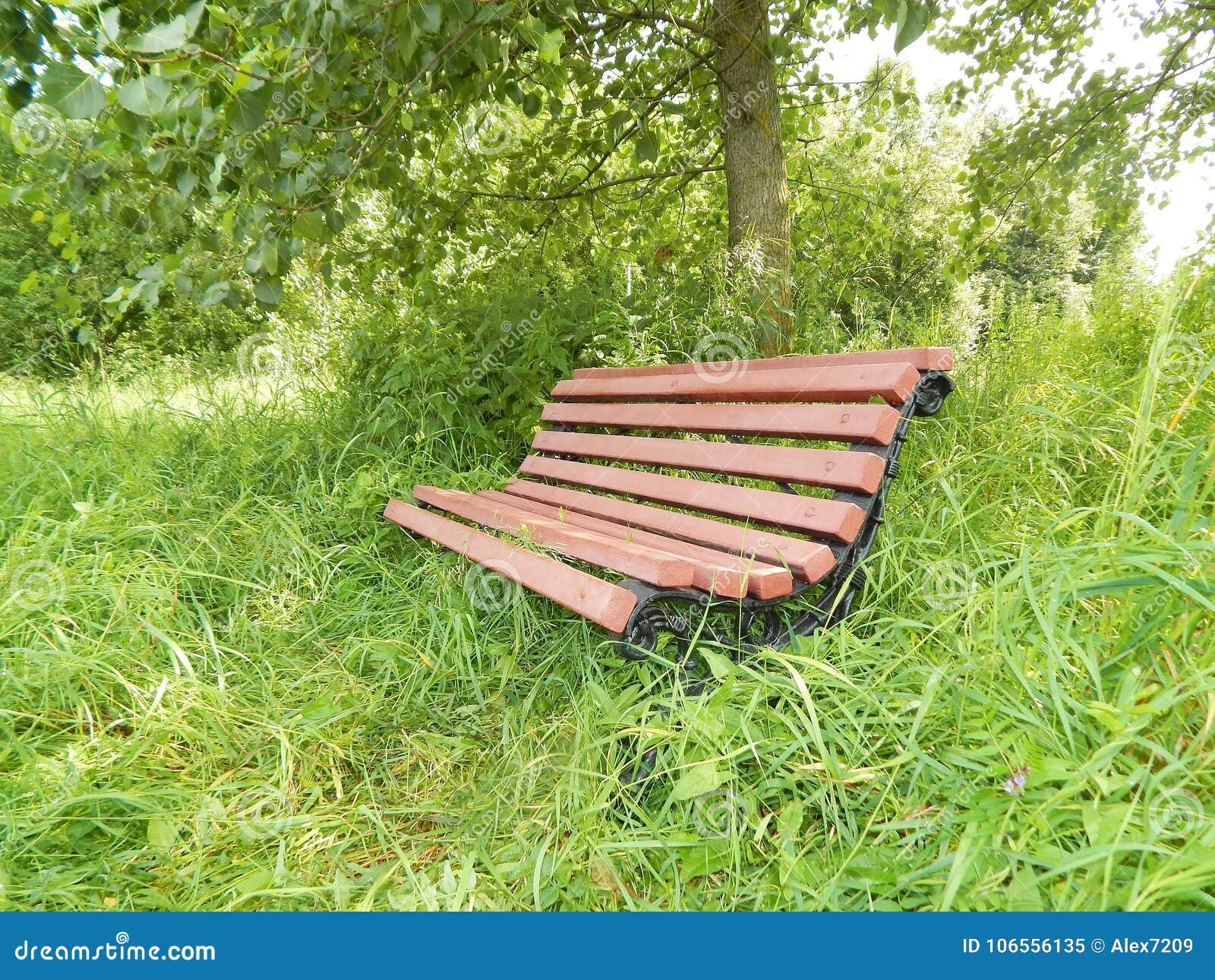 Bench on the Green Grass in the City Park Immagine Stock - Immagine di ...