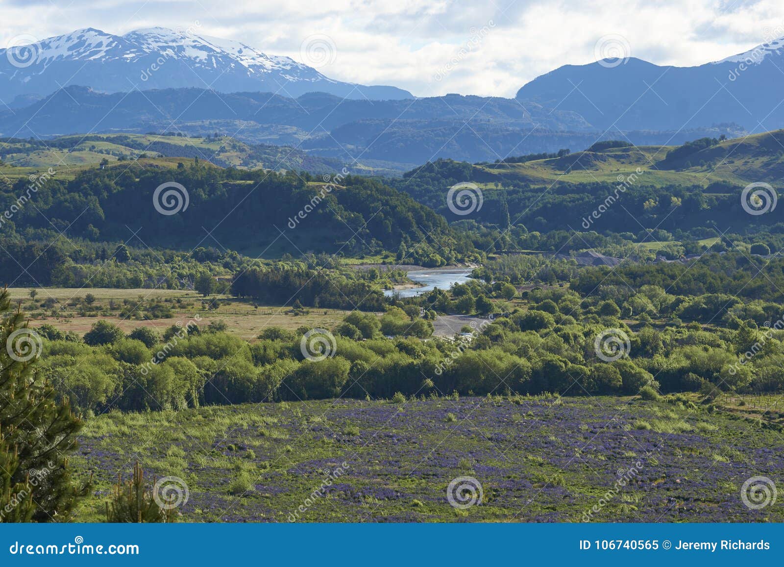 Spring in Northern Patagonia, Chile 库存图片 - 图片 包括有 植被, 红色: 106740565