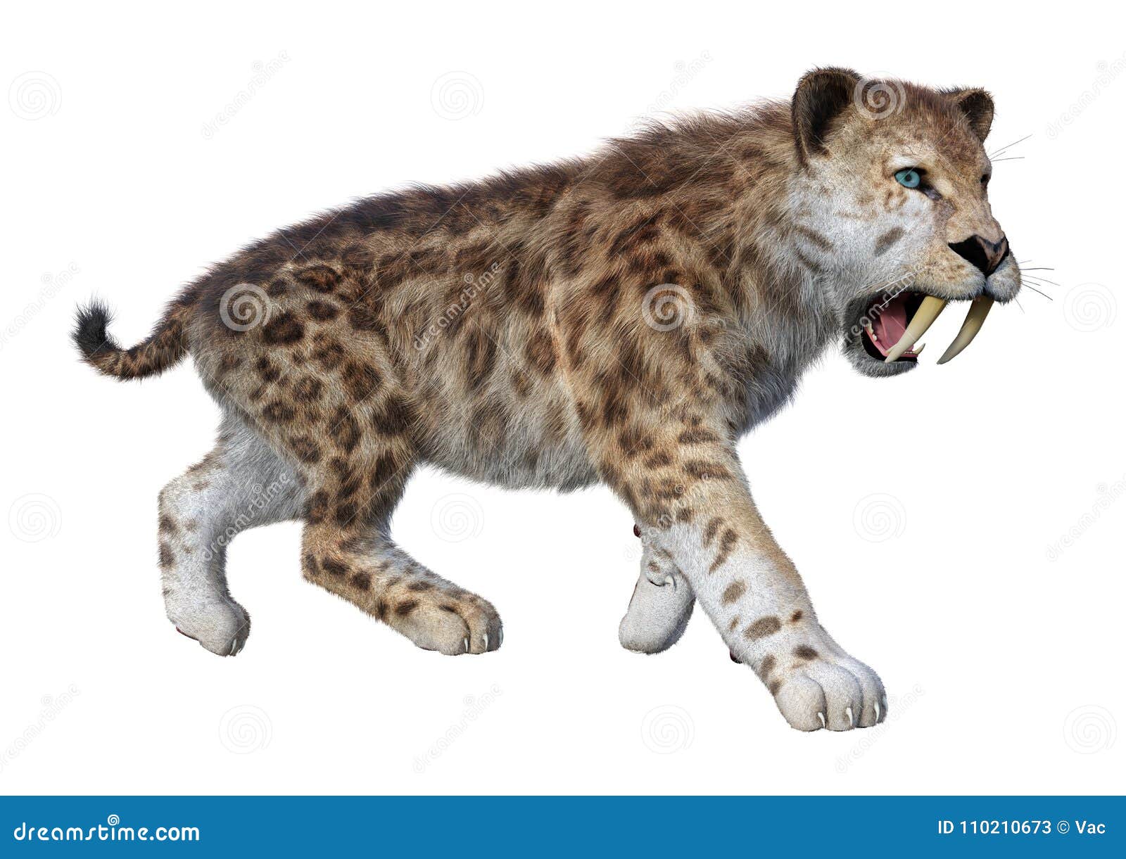 3D Rendering Sabertooth Tiger on White Иллюстрация штока - иллюстрации ...