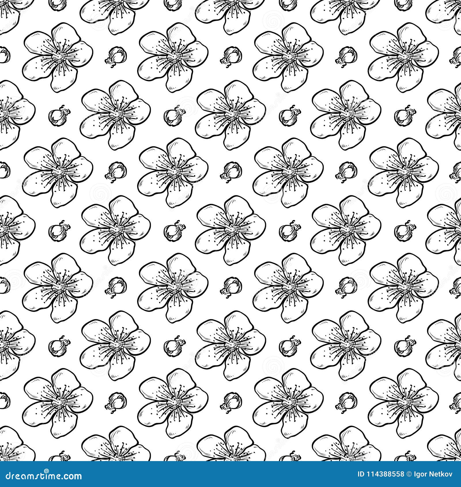 Vector Sakura Seamless Pattern of Flowers Vektor Illustrationer ...