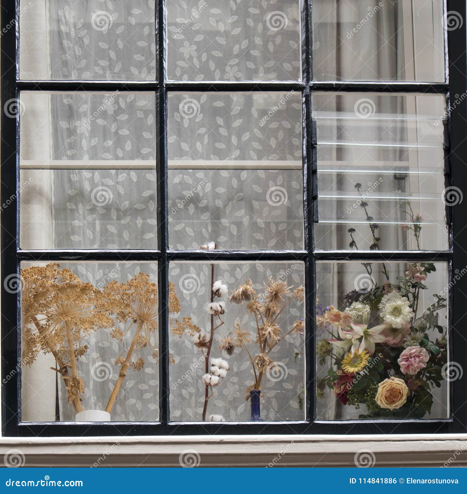 The Traditional Dutch Window with Tulle and Dry Bouquets on the ...
