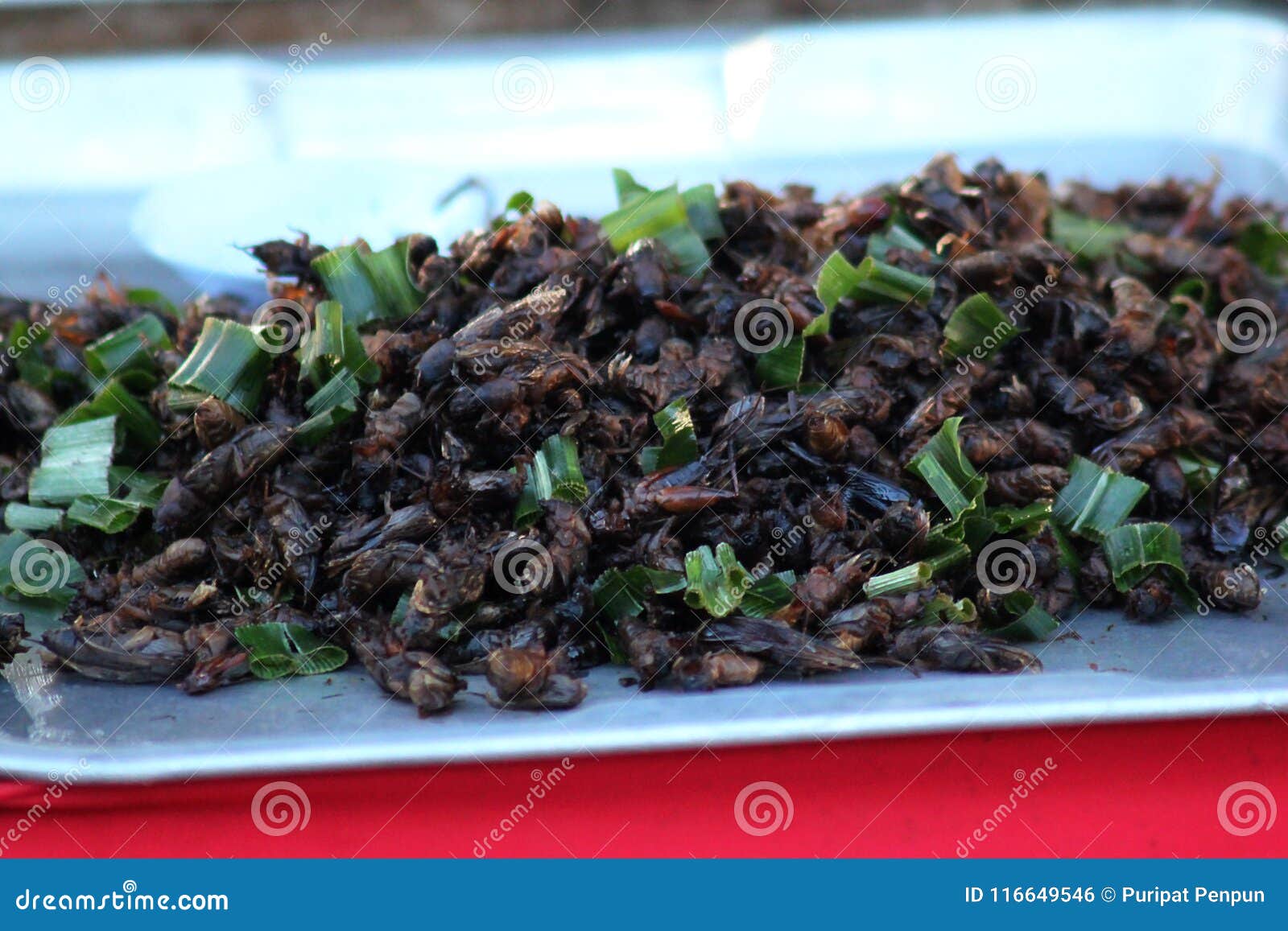 Fried insects in the tray. 库存照片. 图片 包括有 饮食, 文化, 油煎, 膳食 - 116649546