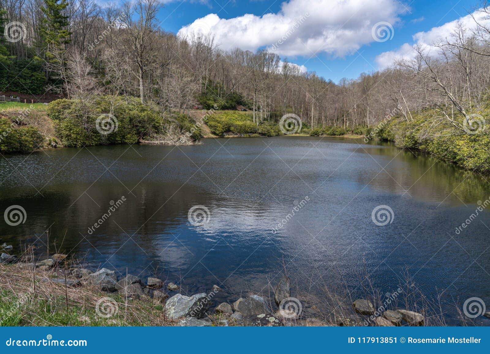 Sims Pond on the Blue Ridge Parkway Fotografering för Bildbyråer - Bild ...