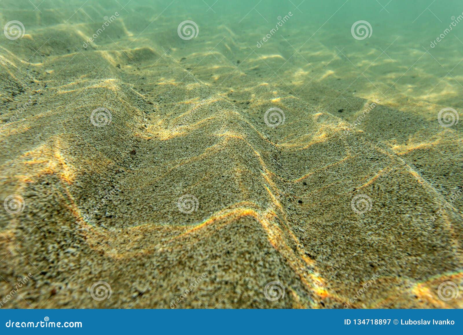 Shallow sea bottom, sand 库存图片. 图片 包括有 结算, 瓶颈, 海洋, 自然 - 134718897