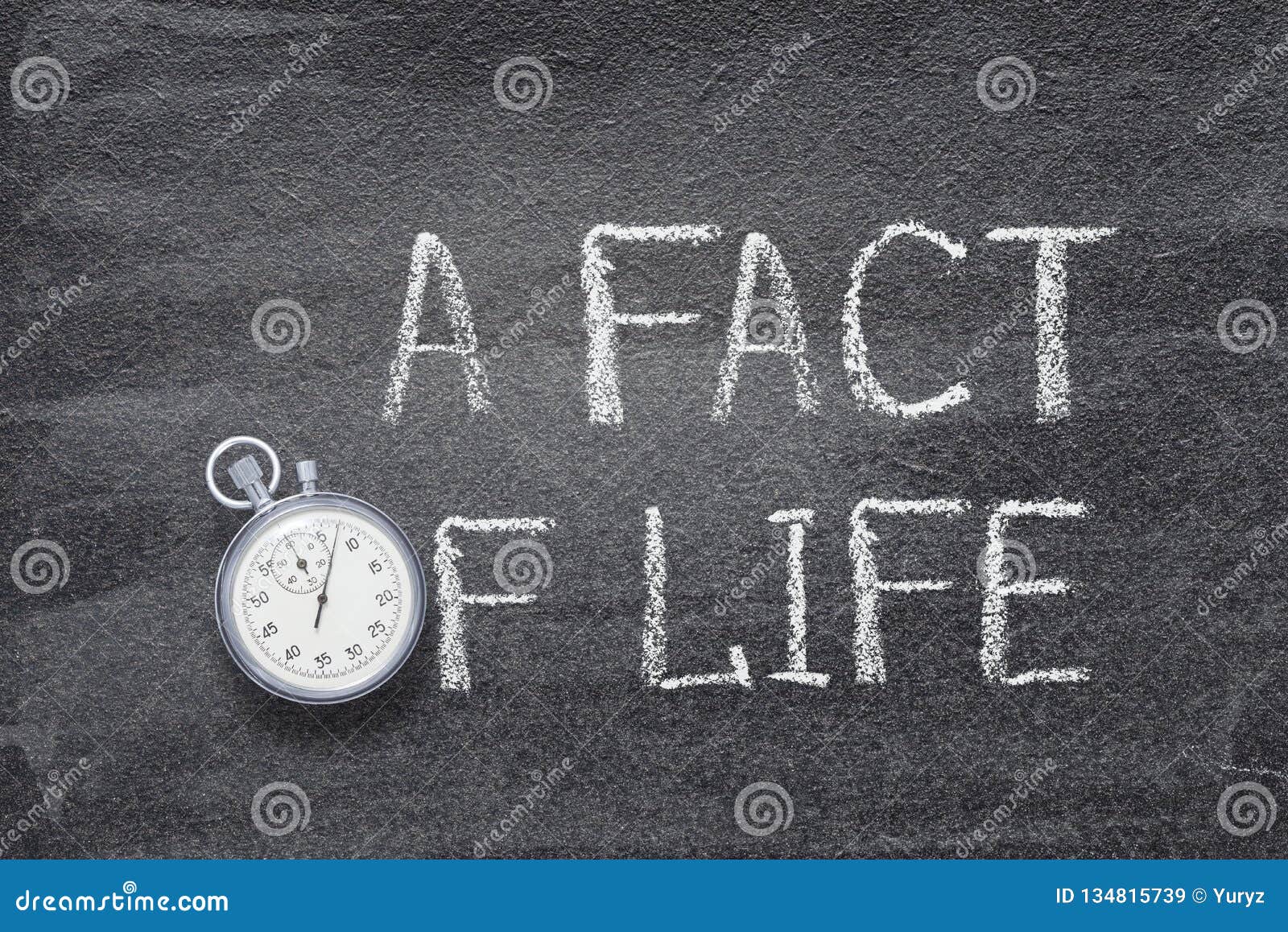 A fact of life watch 库存图片. 图片 包括有 时钟, 活动, 说明, 黑板, 生活 - 134815739