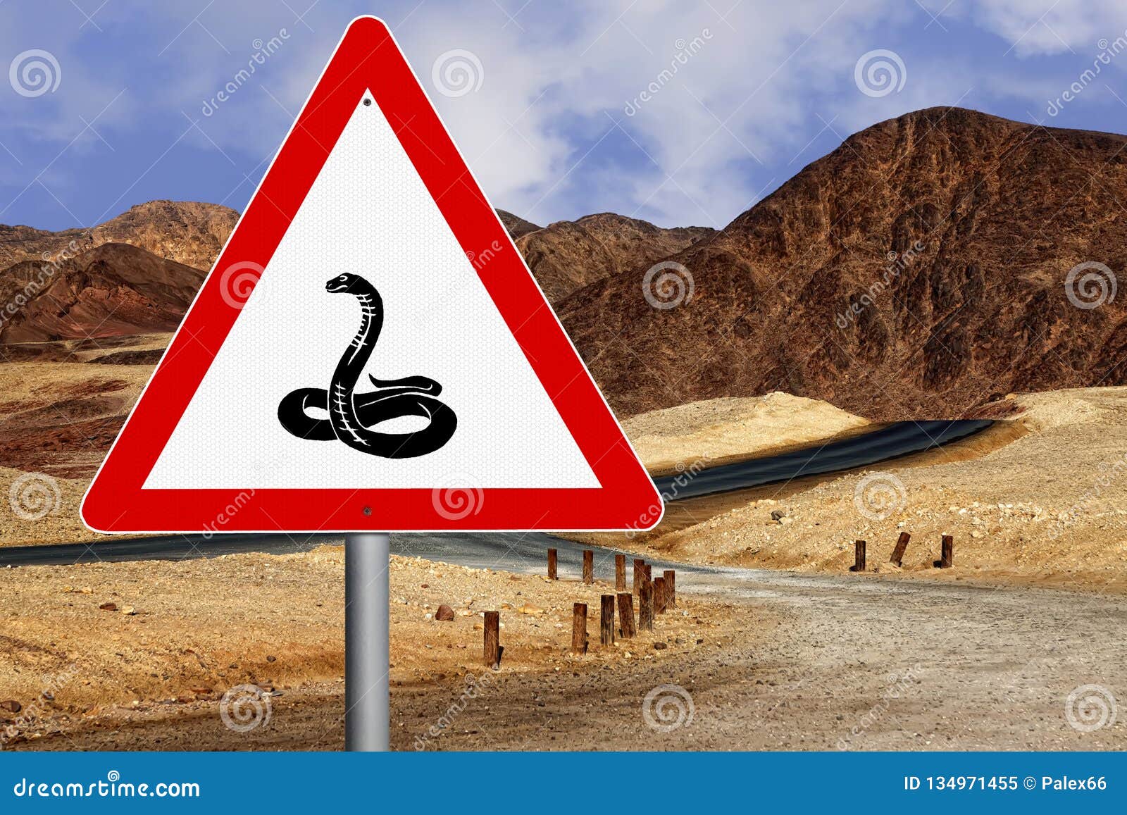Warning Road Sign - Snakes on the Road Στοκ Εικόνα - εικόνα από : 134971455