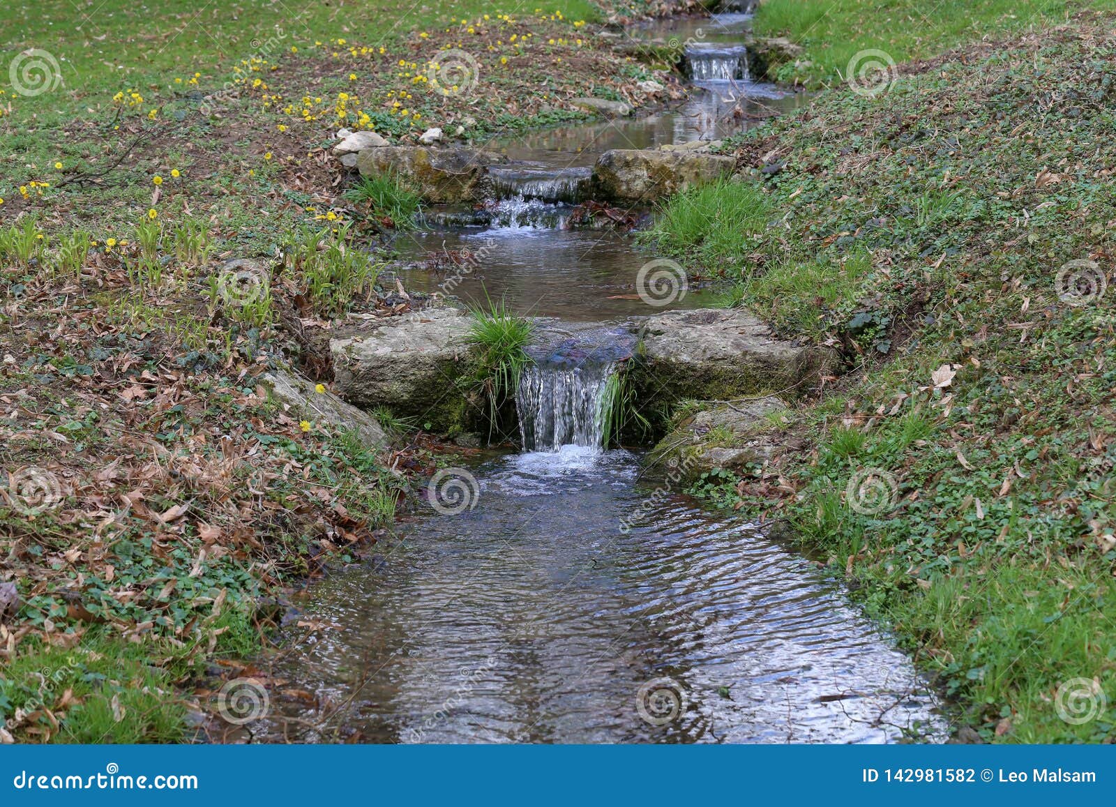 Spring Brook with Small Cascades in the City Park Fotografia Stock ...