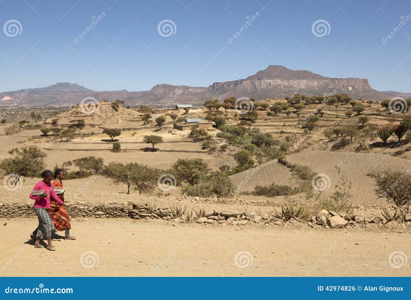 People Walking in Rural Ethiopia Fotografia Editoriale - Immagine di ...
