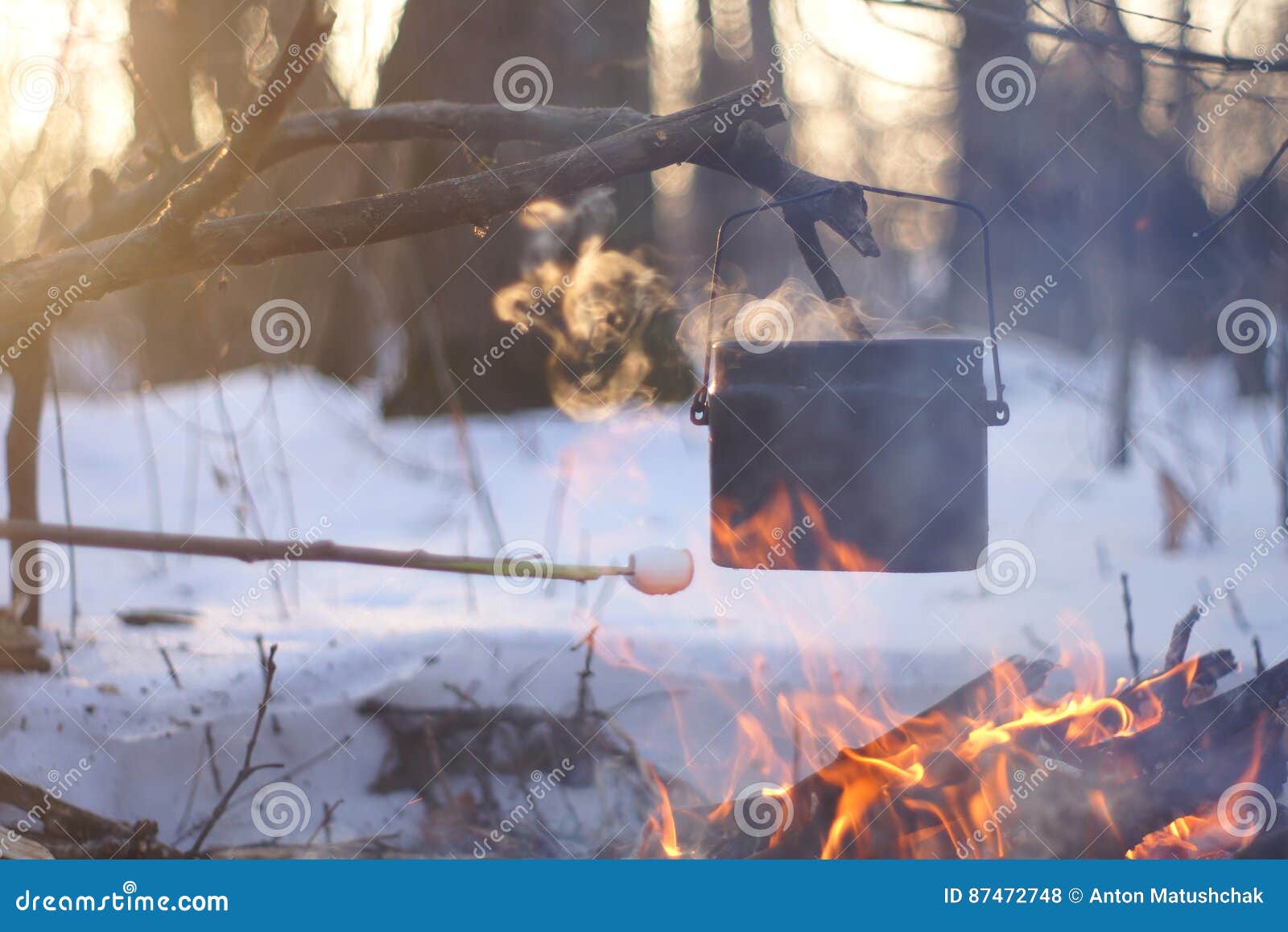 A Pot of Boiling Water on the Fire Warms in the Winter Forest ...