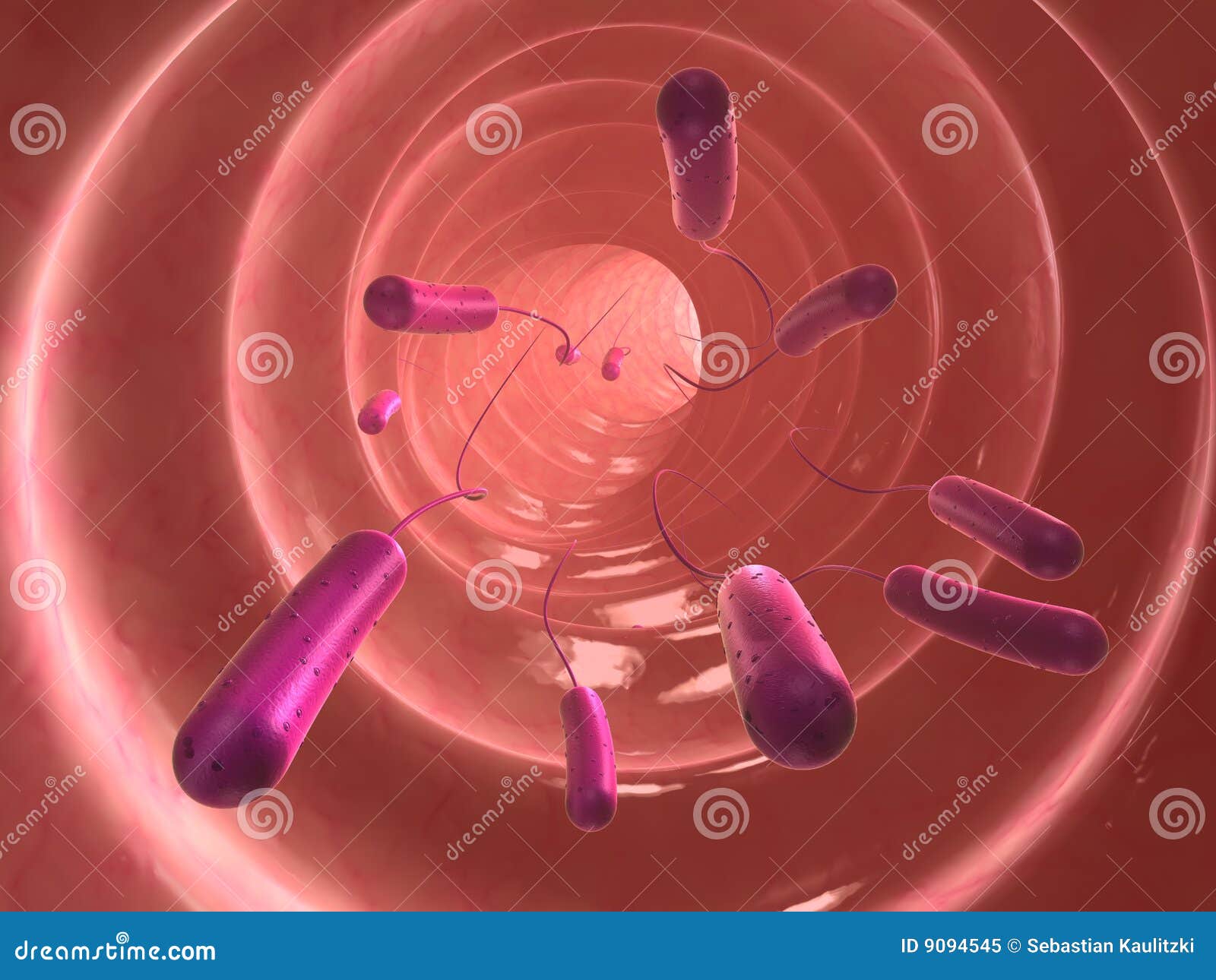 E-coli bacteria stock illustration. Illustration of bacterium - 9094545