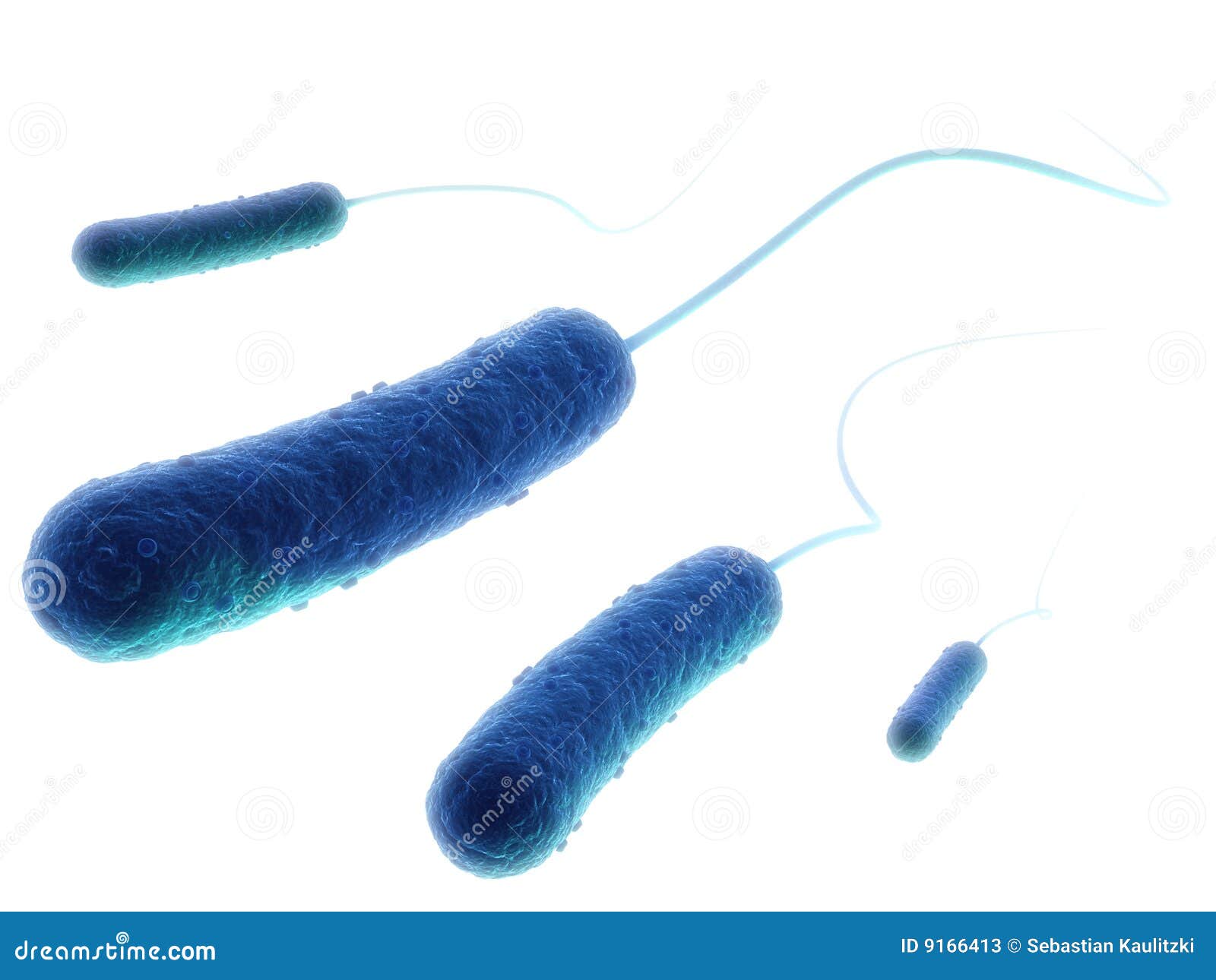 E Coli Bacteria. Flagellate Rods Type Category Royalty-Free Stock Photo ...