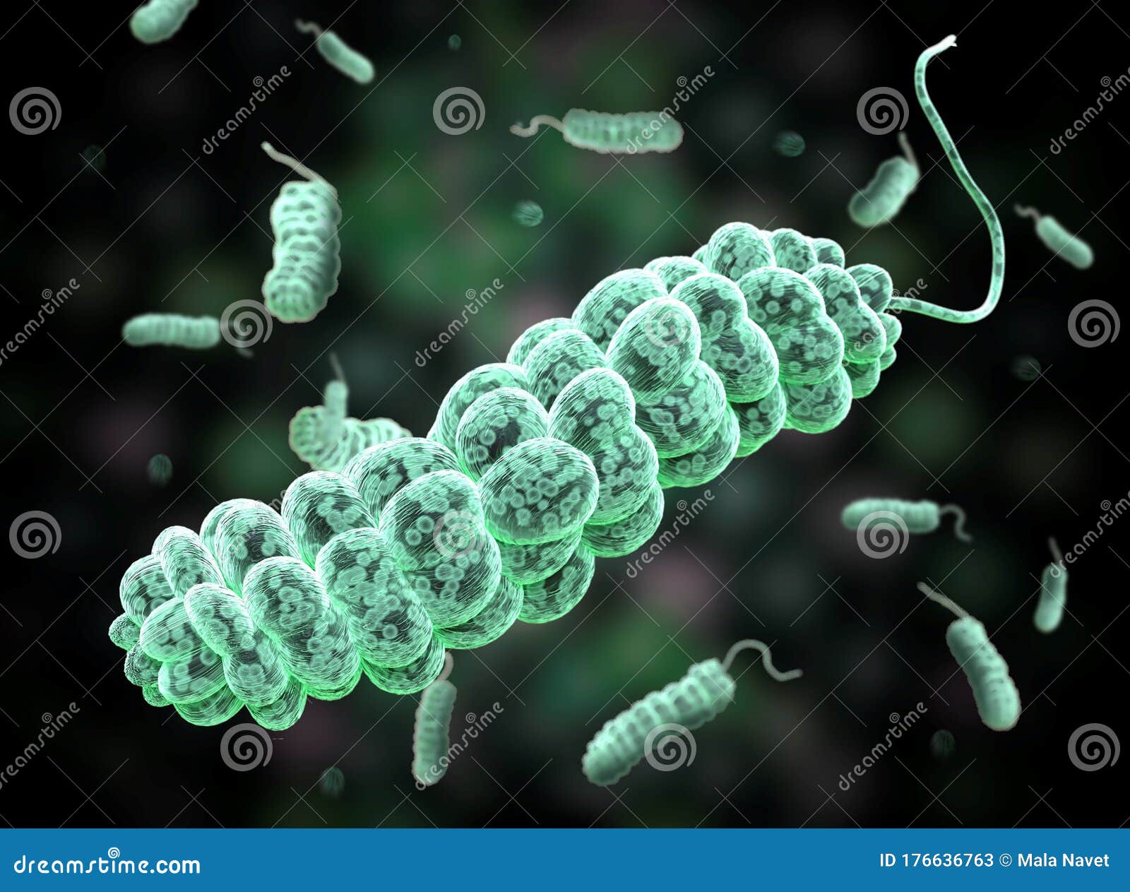 E Coli Bacteria. Flagellate Rods Type Category Royalty-Free Stock Photo ...