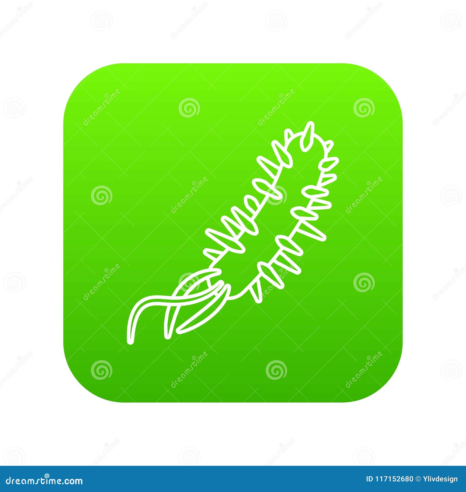 E Coli Bacteria Icon Green Vector Stock Vector - Illustration of ...