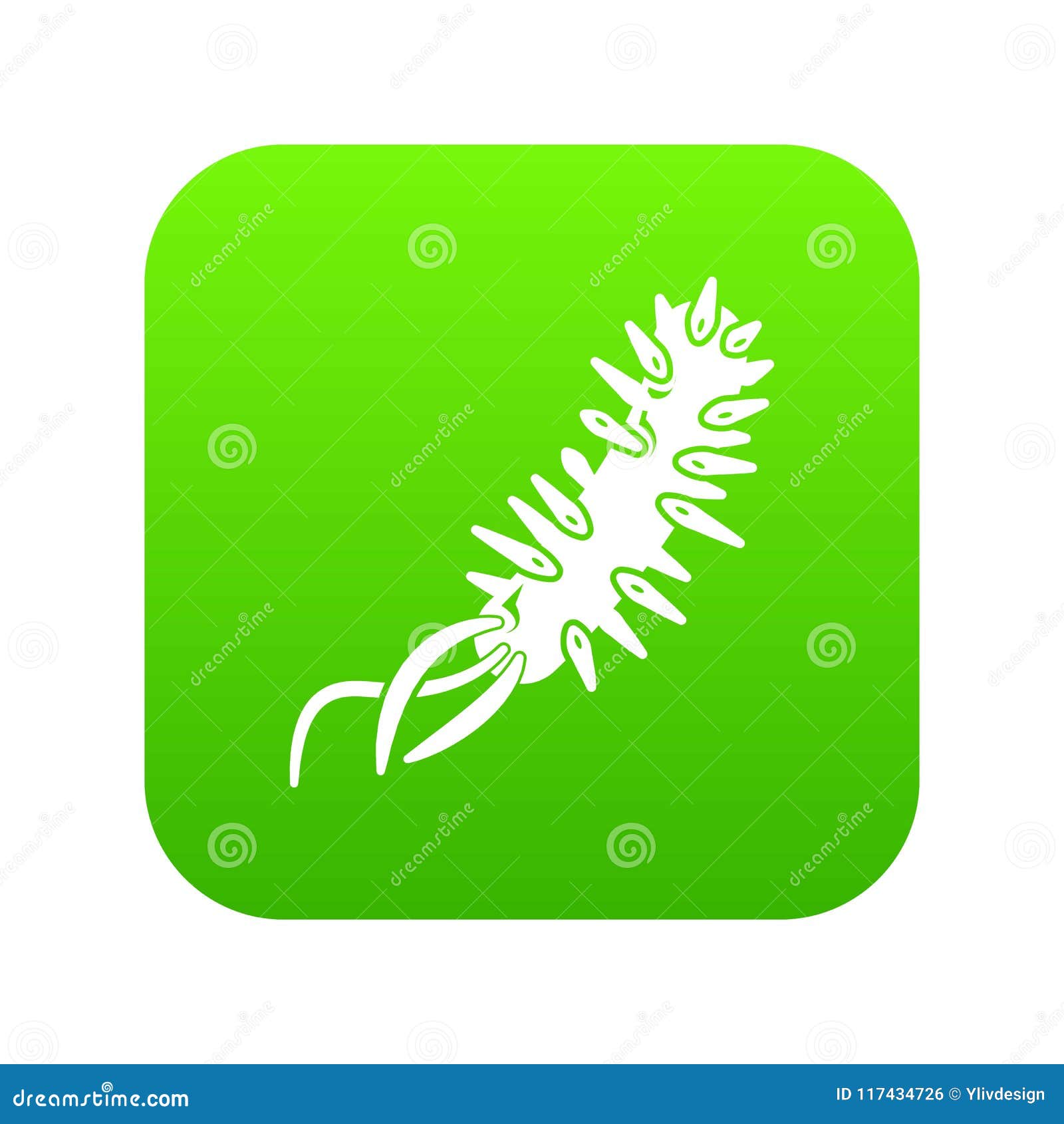 E Coli Bacteria Icon Green Vector Stock Vector - Illustration of cancer ...