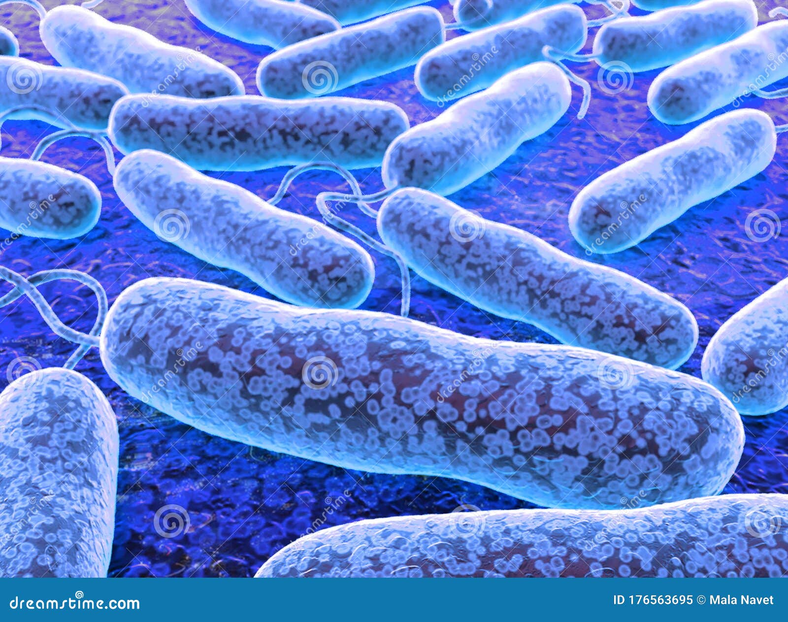 E Coli Bacteria. Vibrios Type Category. Stock Illustration ...