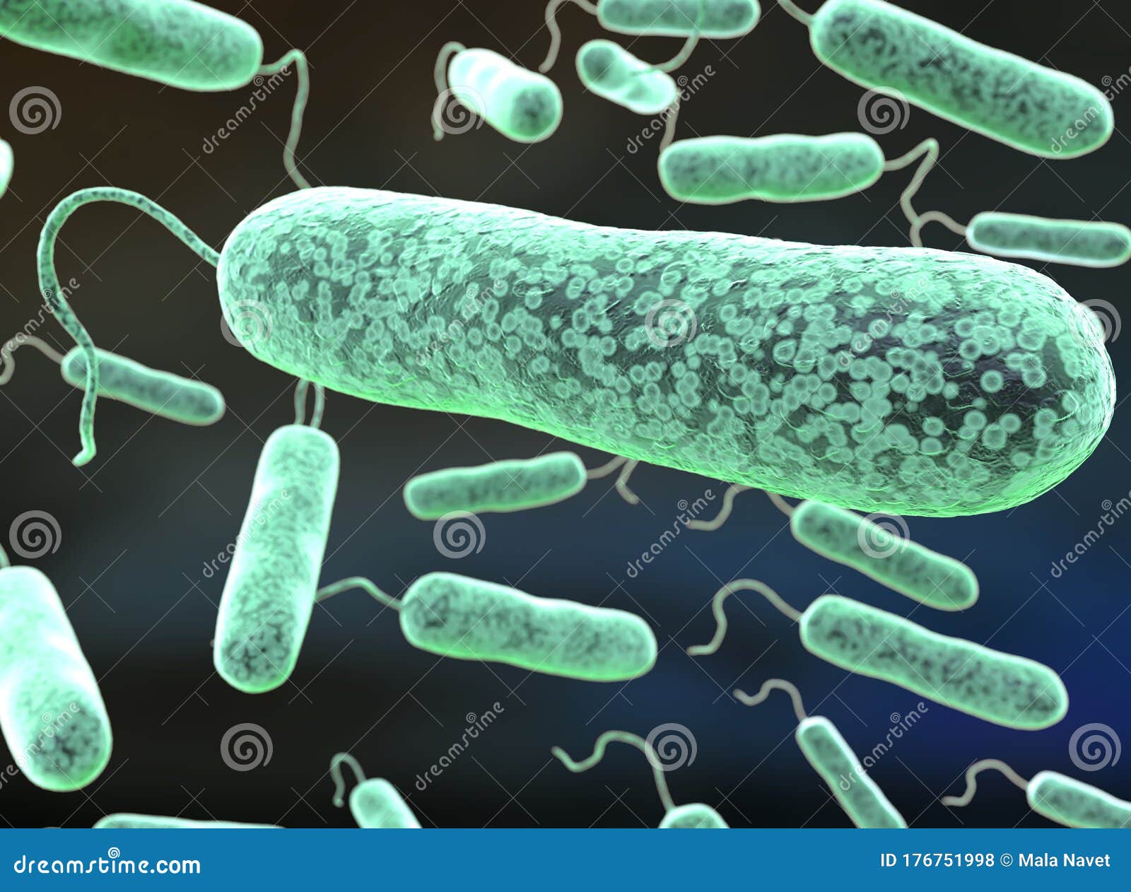 Bacteria Are A Type Of Biological Cell. Micro Organisms, Duplication ...