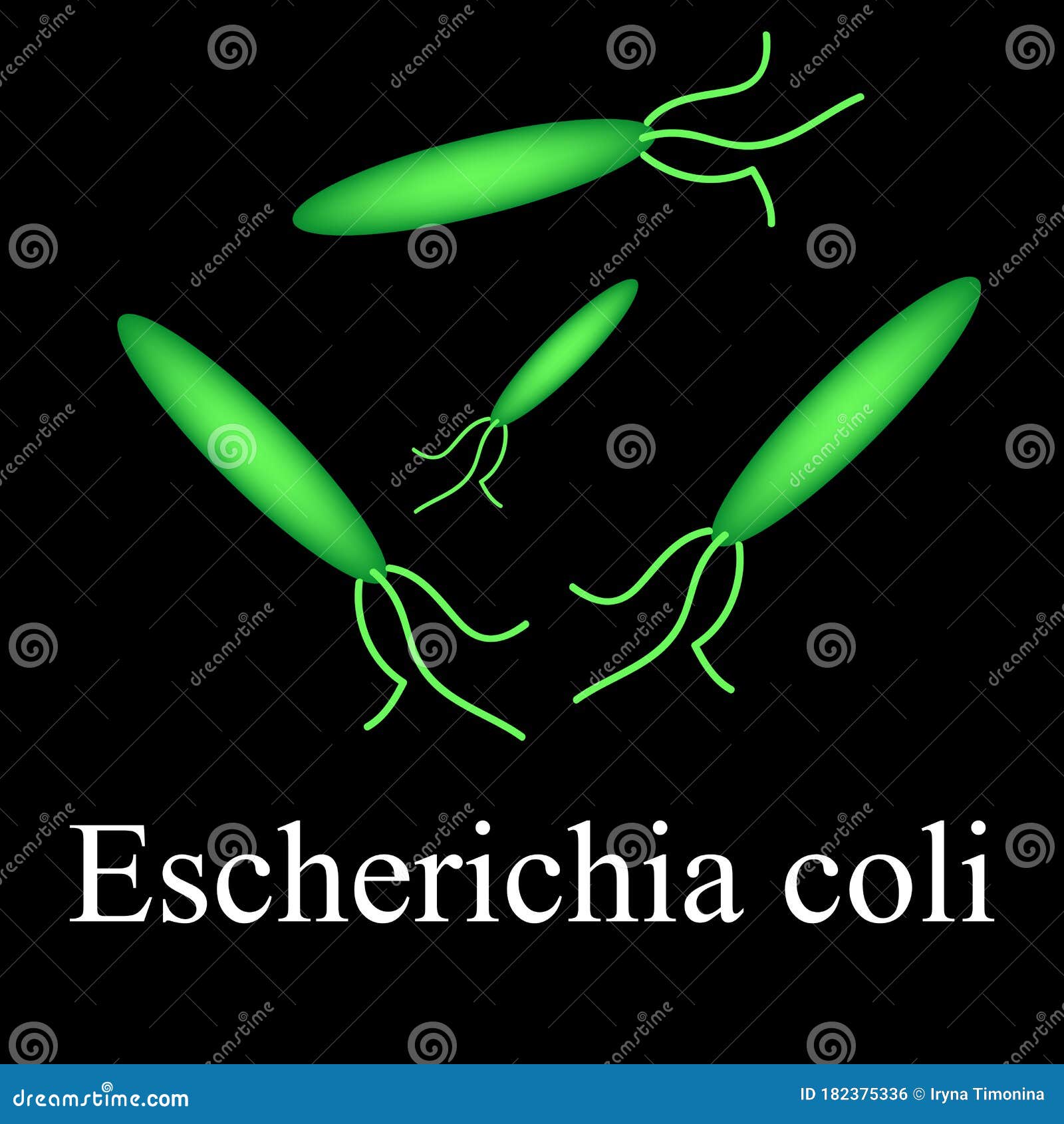 E. Coli. Diseases Causing E. Coli. Infographics. Vector Illustration ...