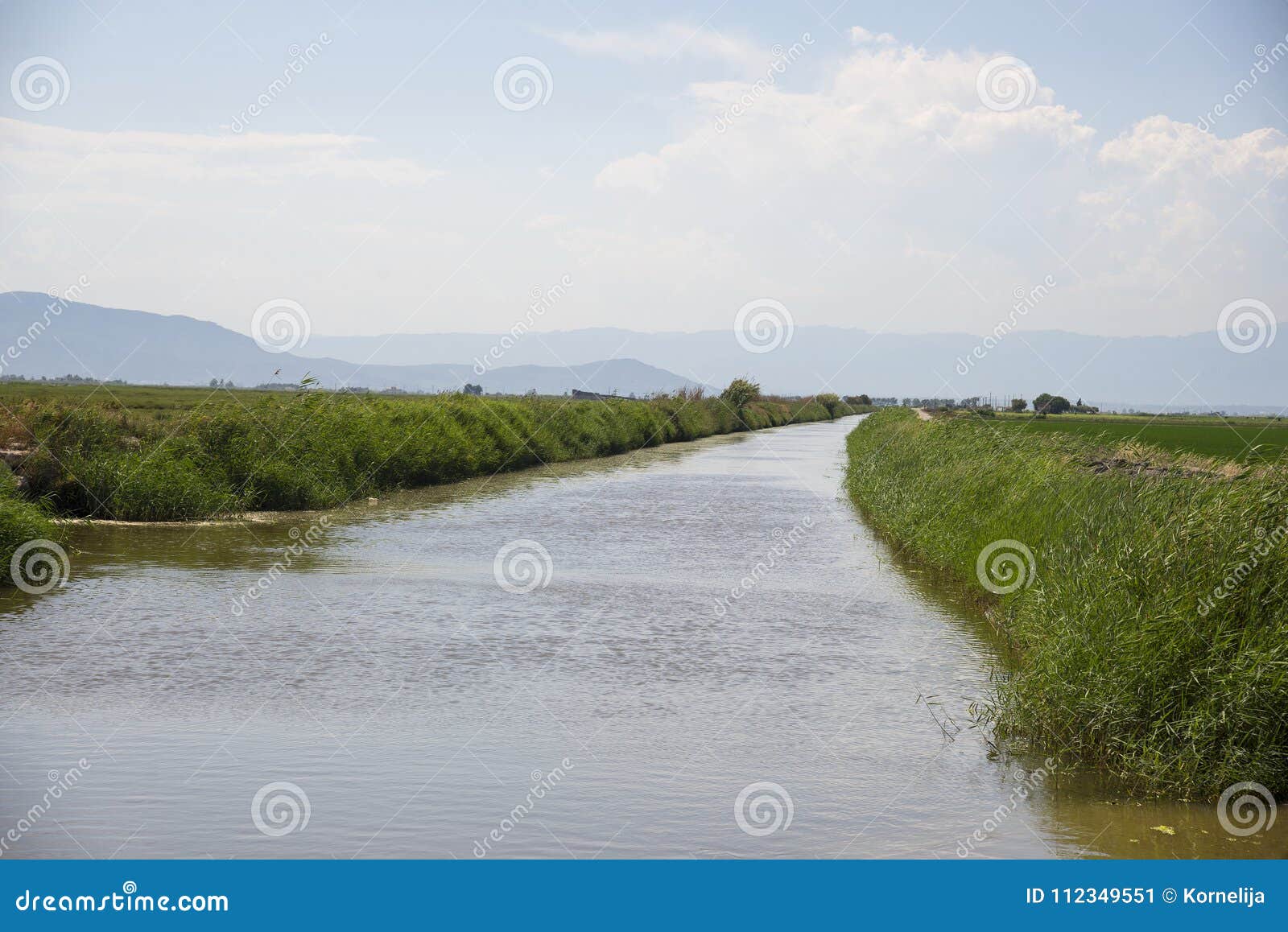 Natural Park of the Ebro River Delta, Spain Imagen de archivo - Imagen de grupo, campo: 112349551