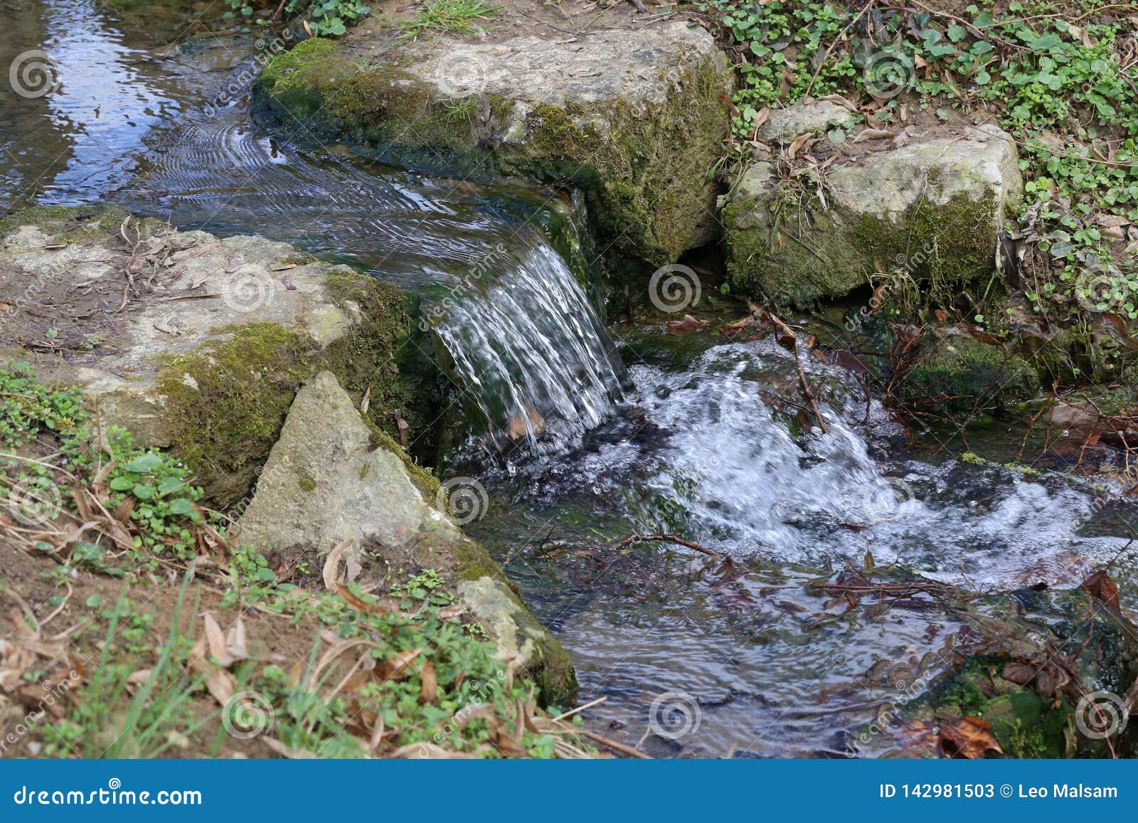Spring Brook with Small Cascades in the City Park Immagine Stock ...