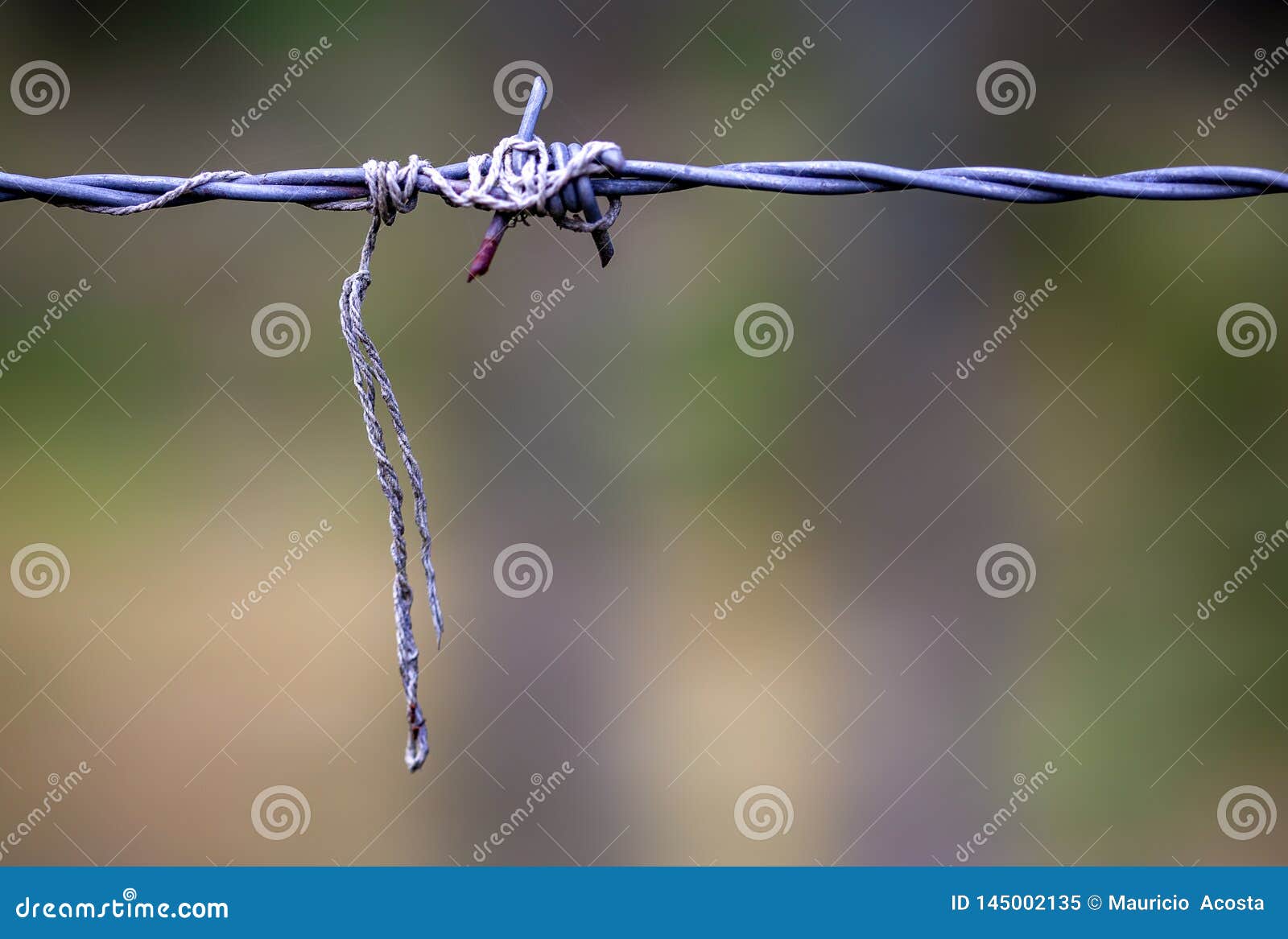 String Tangled Around a Barbed Wire Stockbild - Bild von hintergrund ...