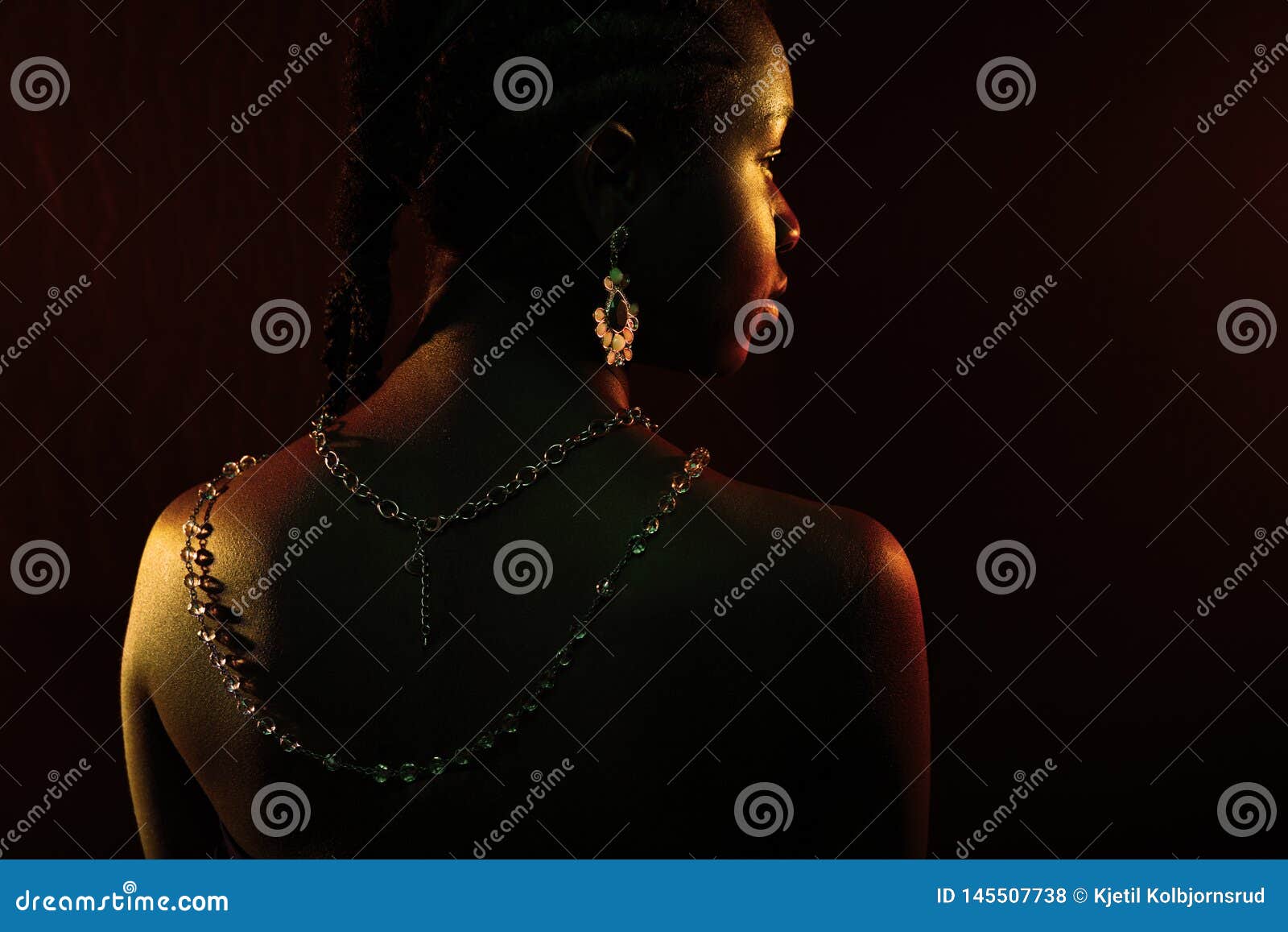 Colorful and Creative Portrait of African Womans Back with Dark Skin 库存 ...