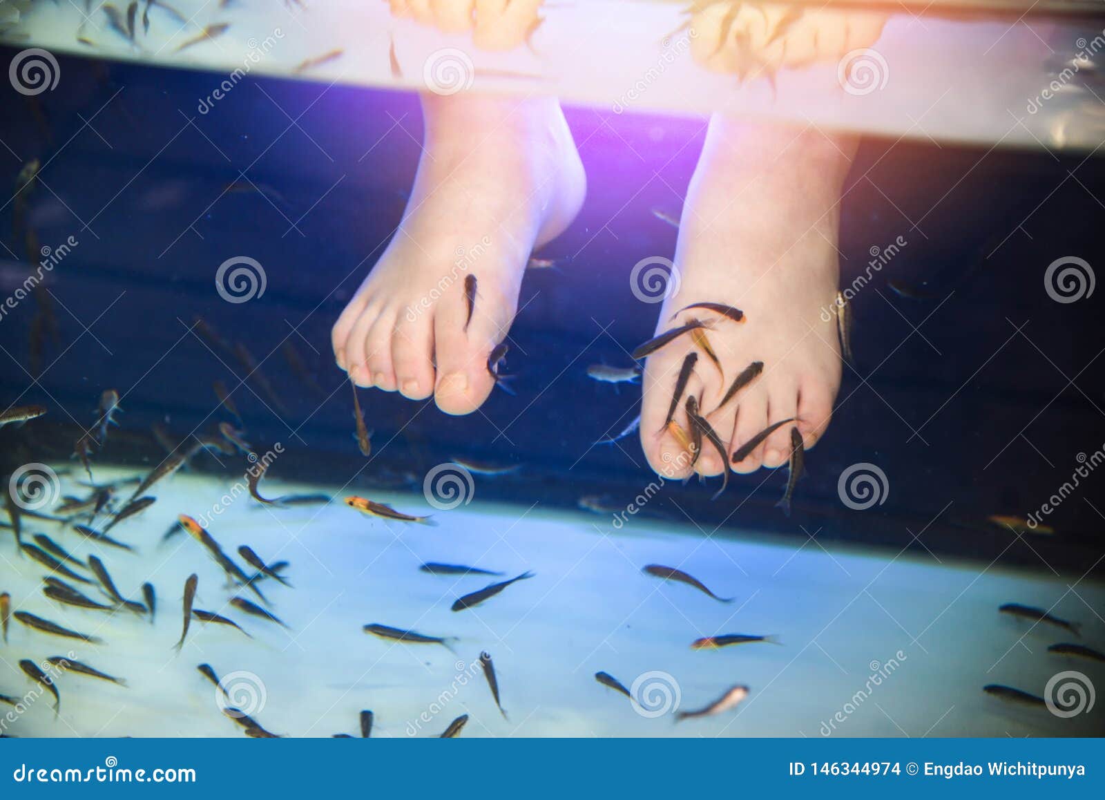 Spa Fish Feet Pedicures Skin Care Treatment Water Arkivfoto - Bild av ...