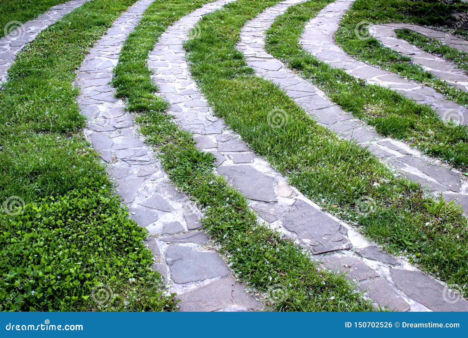Footpath with Green Grass Landscaping Design. Fotografia Stock ...