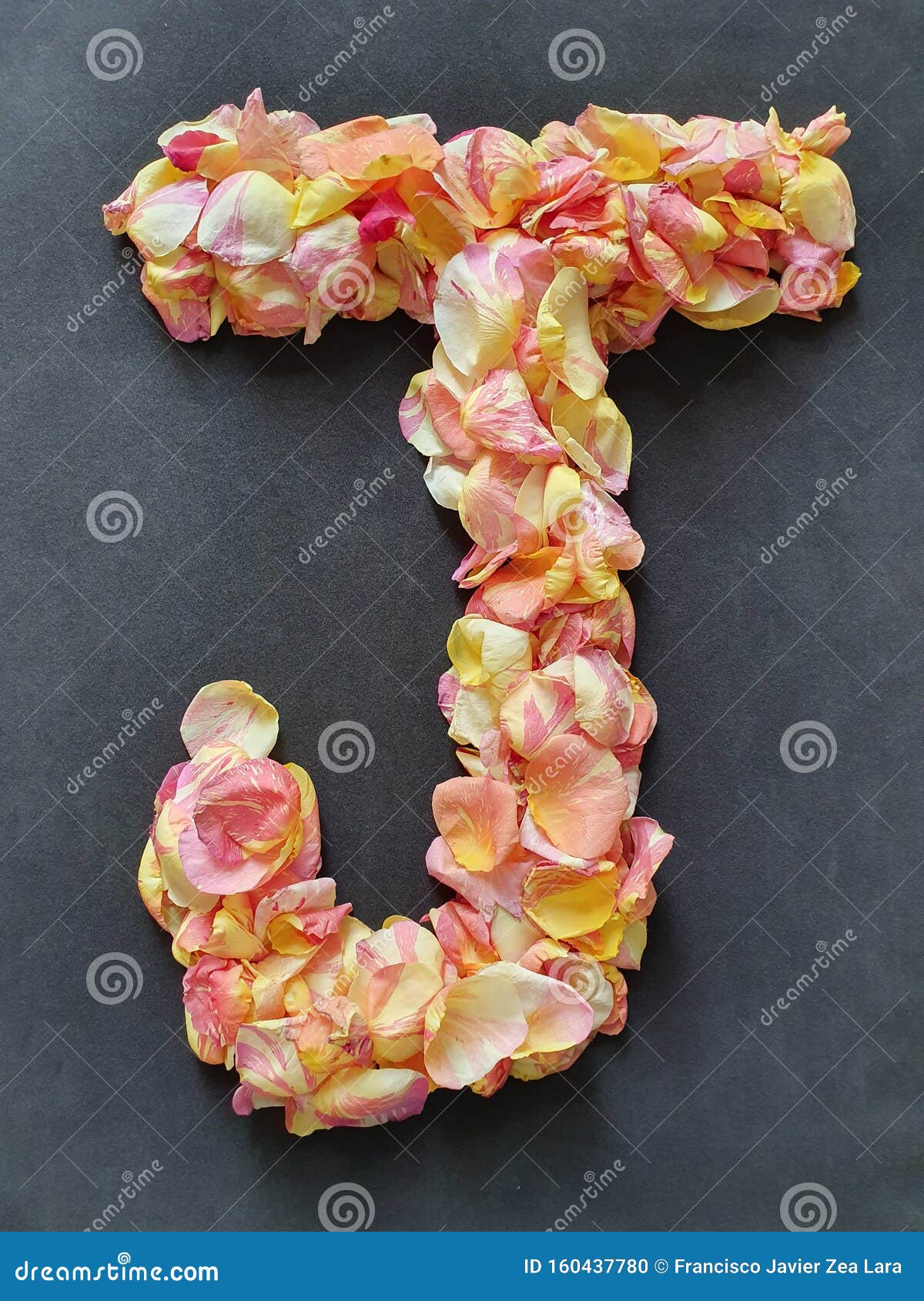 Rose Flower Petals Forming the Letter J Стоковое Фото - изображение ...