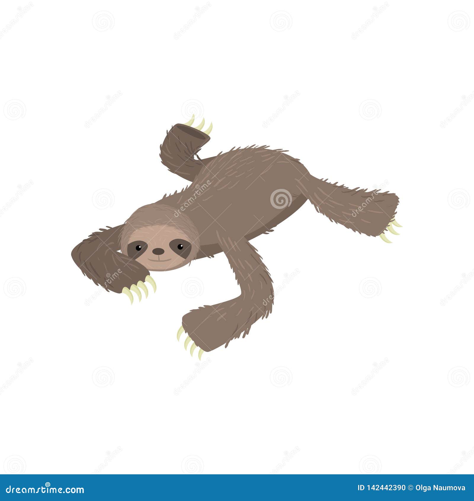 Cute Gray Sloth Sleeping, Resting on Tree Branch Isolated on White ...