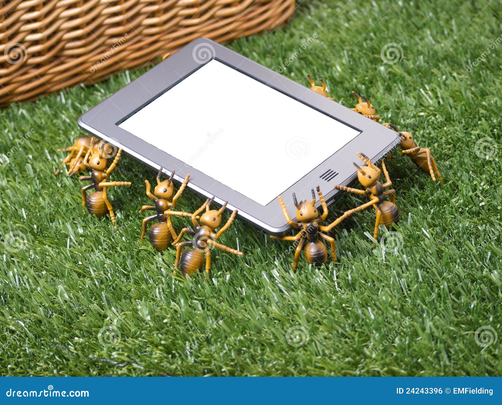 E-reader Tablet Taken by Picnic Ants Stock Photo - Image of kindle ...