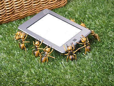 E-reader Tablet Taken by Picnic Ants Stock Photo - Image of kindle ...