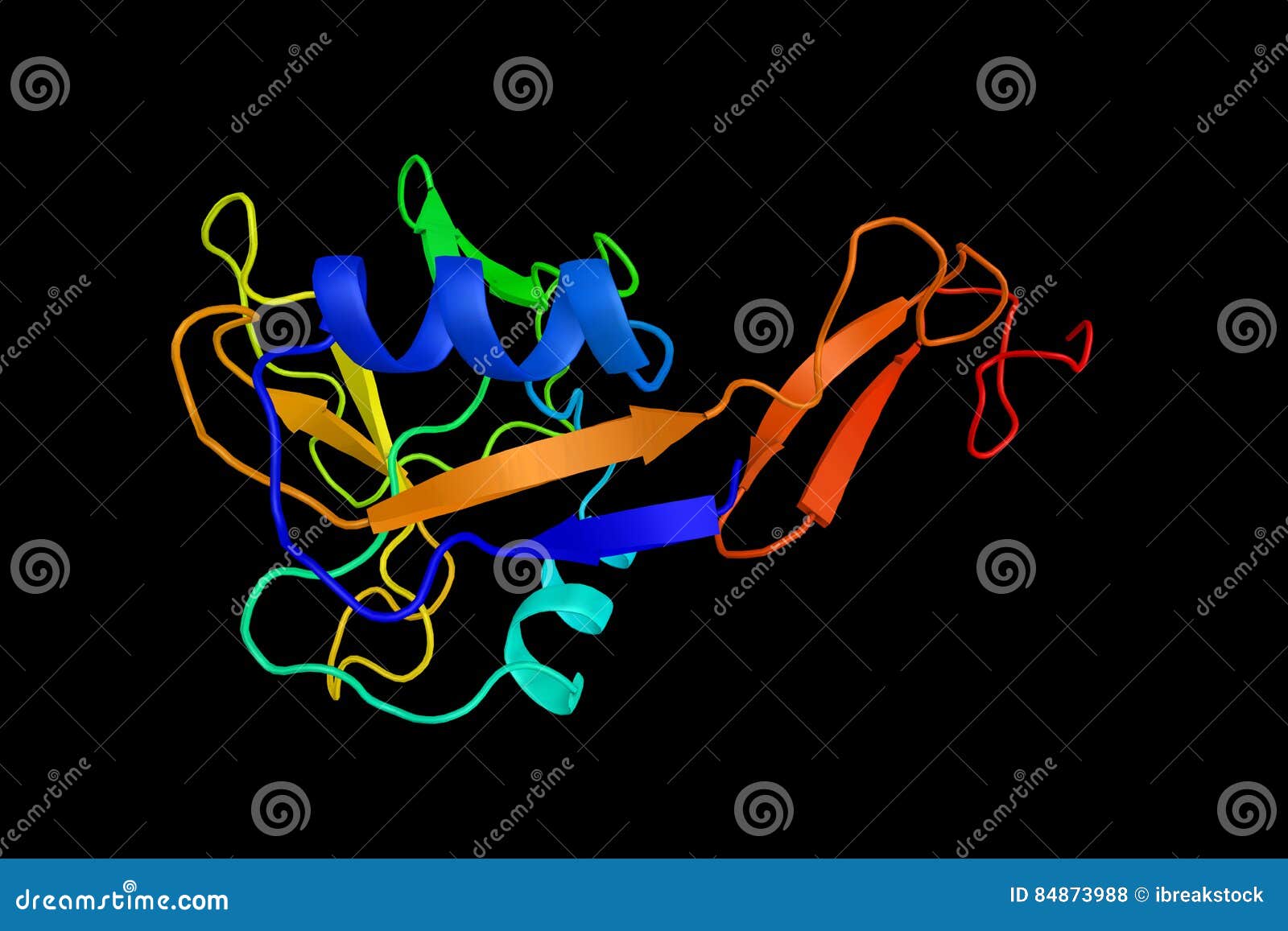 E-selectin, Which Recognizes and Binds To Sialylated Carbohydrates ...