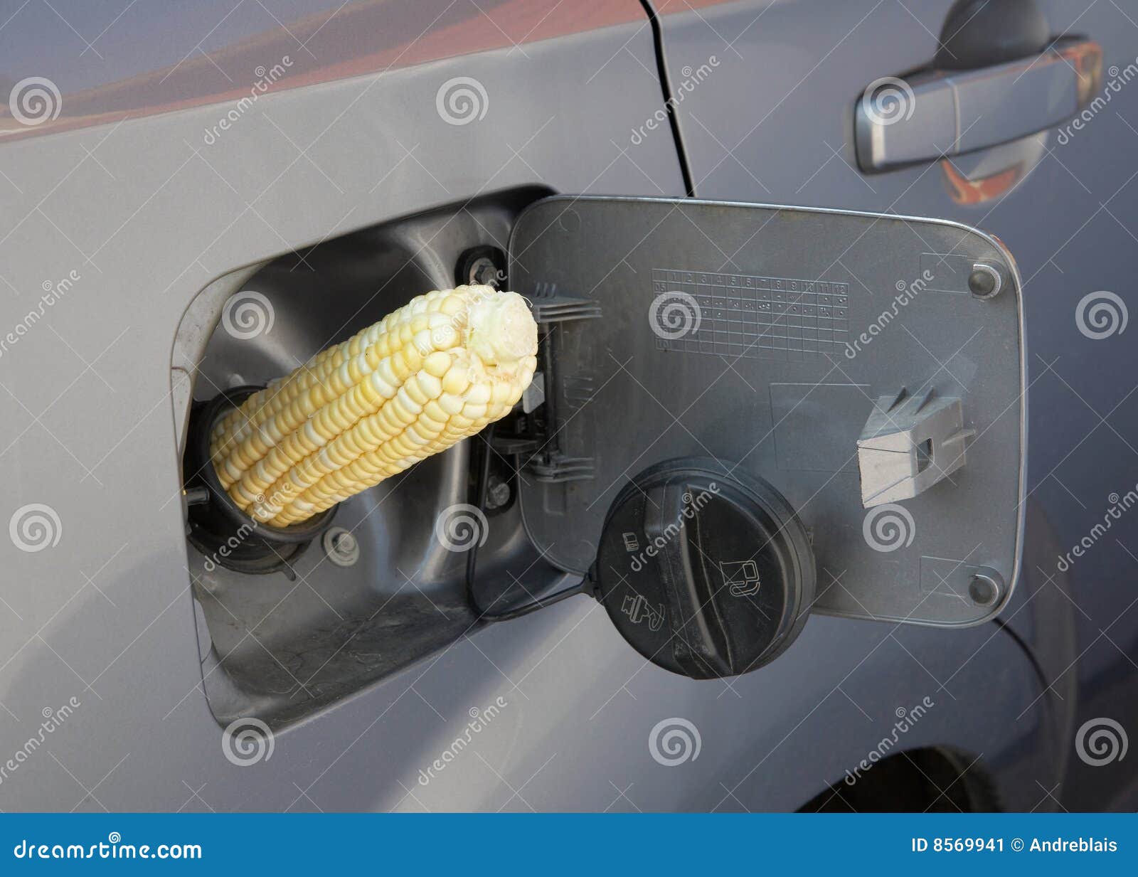 E85 Ethanol Gas stock image. Image of husk, conserve, corn - 8569941